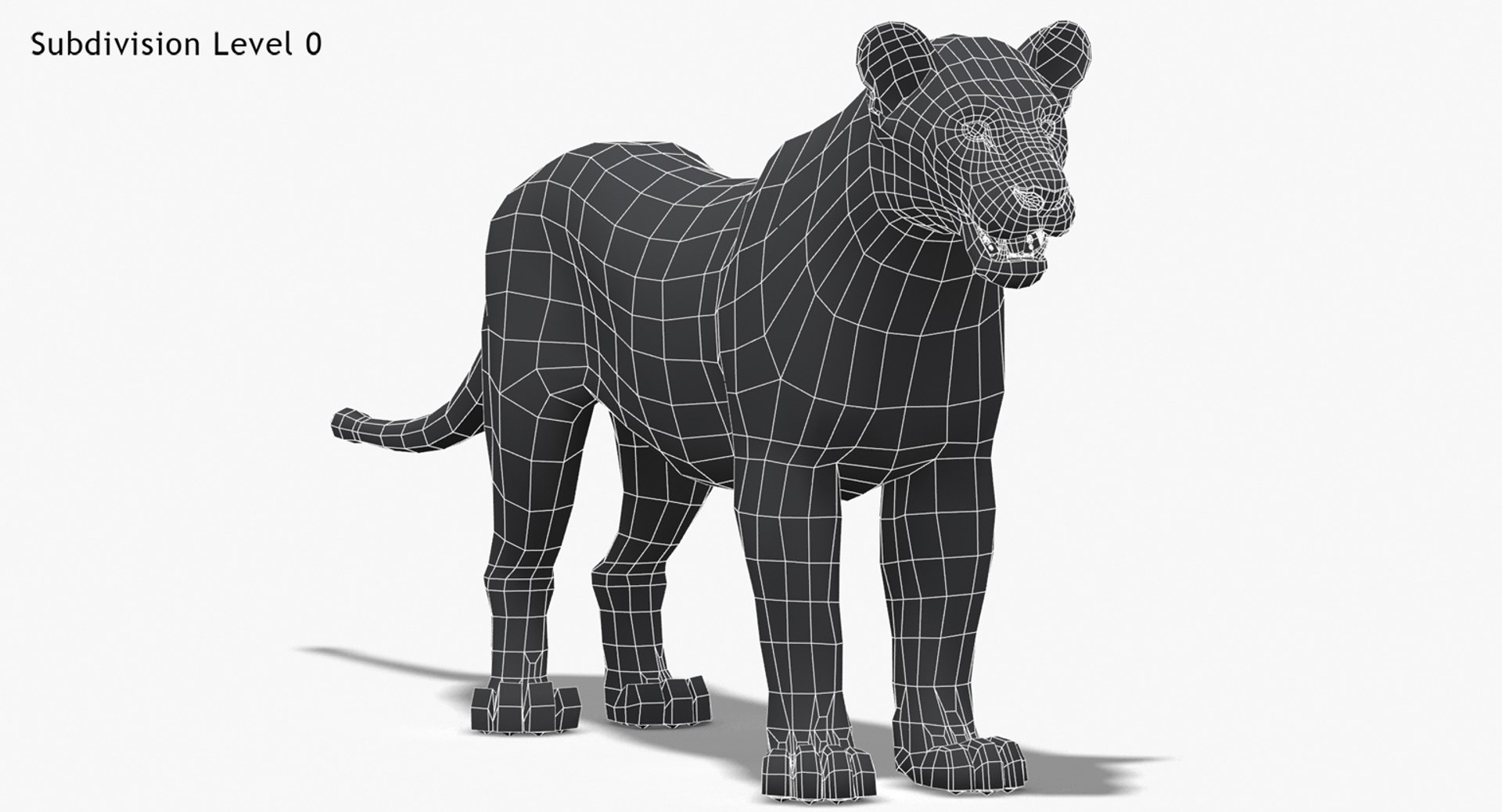3d Lioness Lp Model