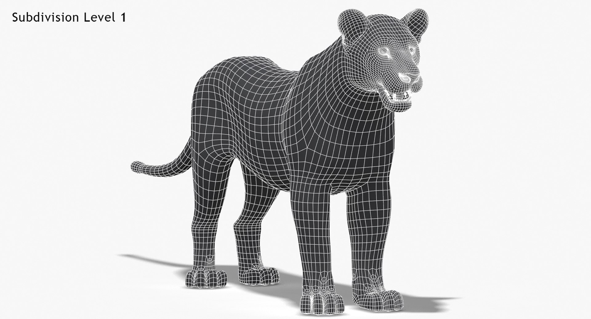 3d Lioness Lp Model
