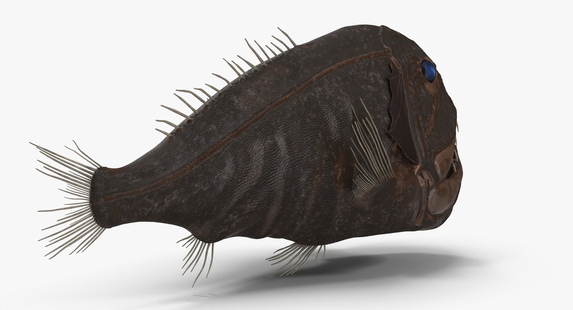 3d model of fangtooth fish