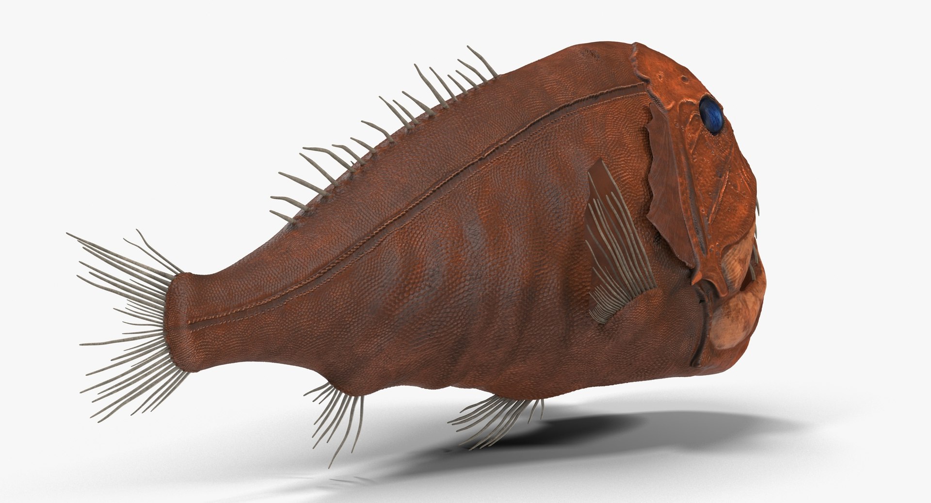 3d model of fangtooth fish