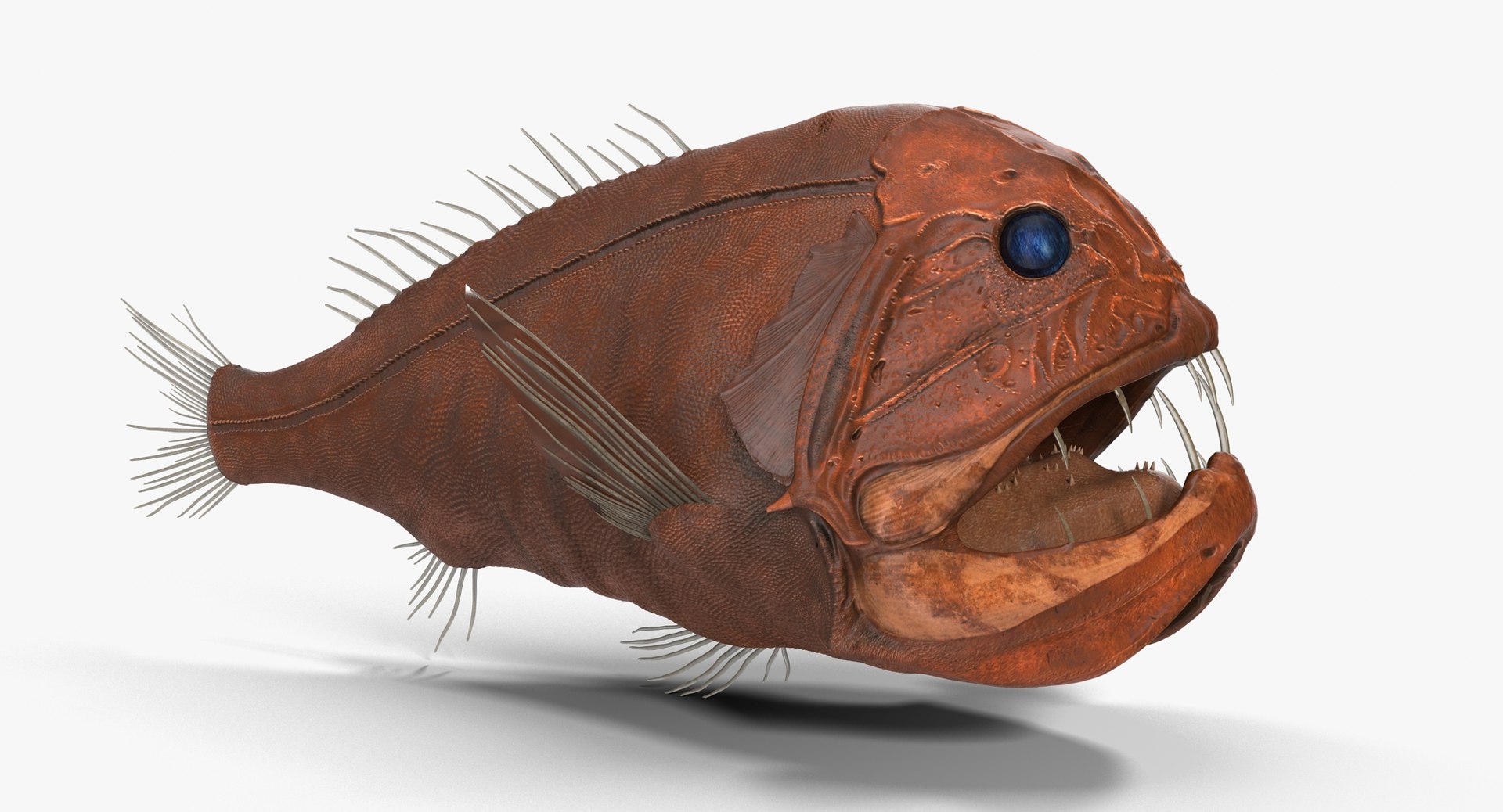 3d model of fangtooth fish