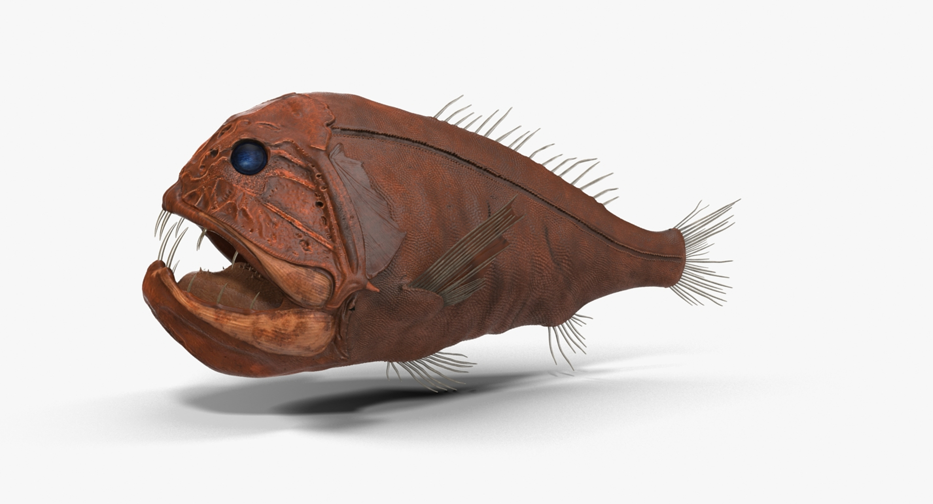 3d model of fangtooth fish