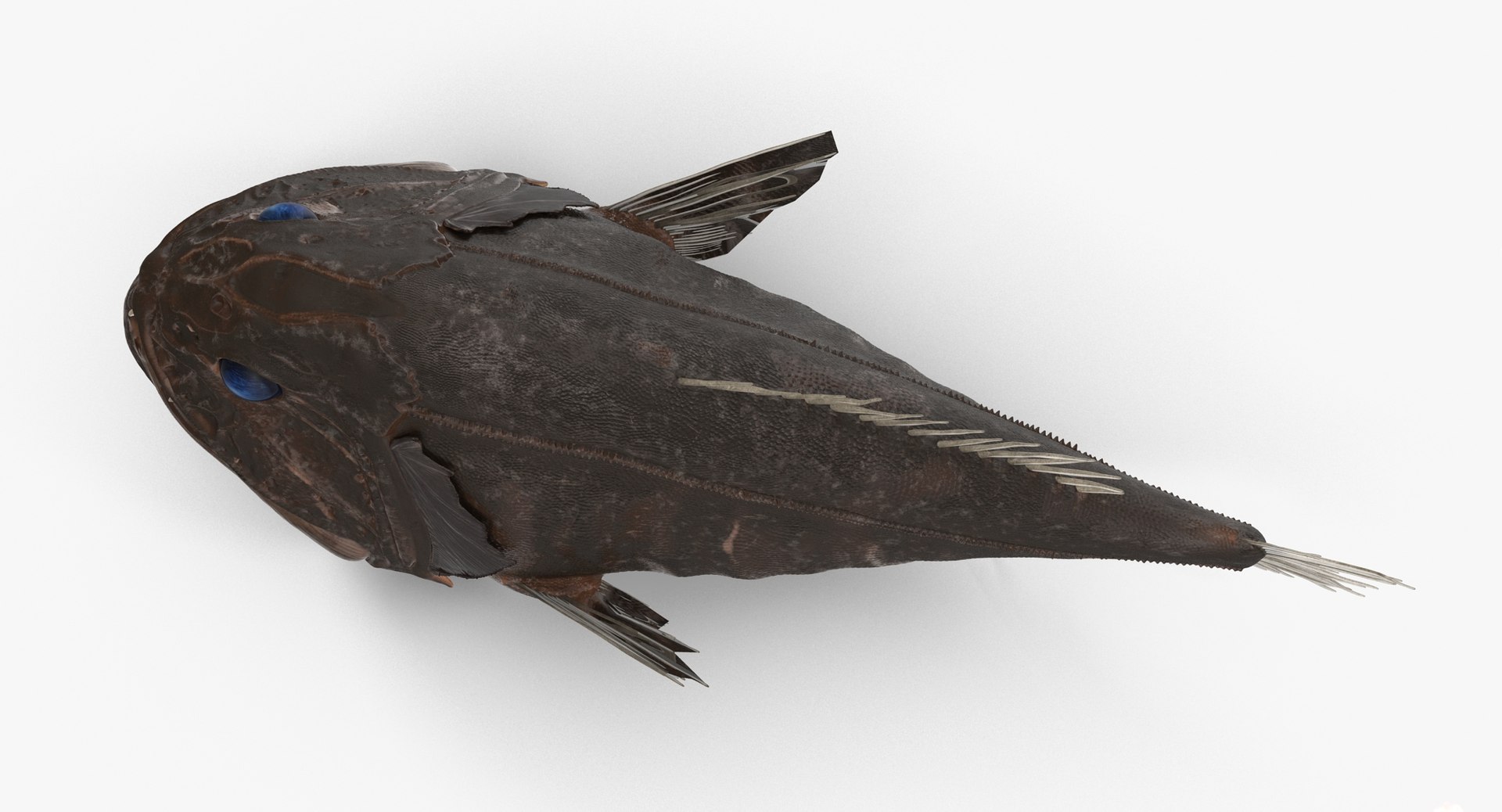 3d model of fangtooth fish