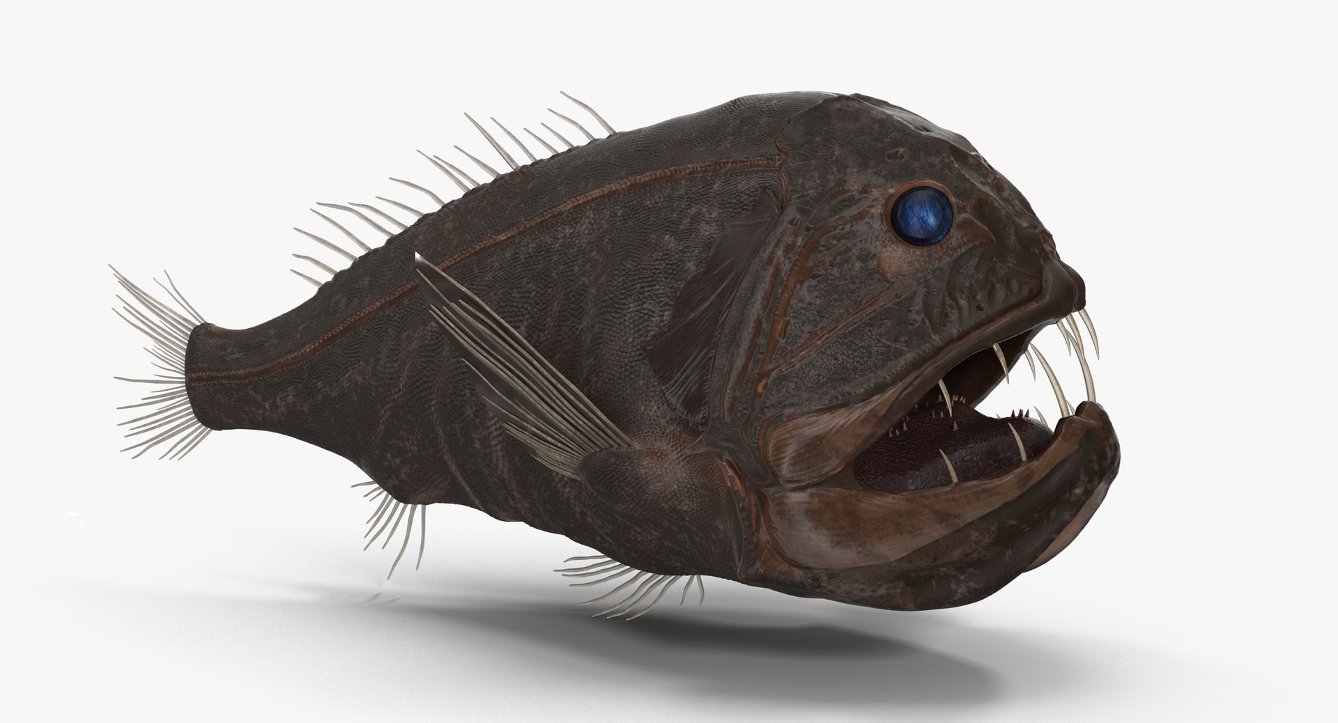 3d model of fangtooth fish