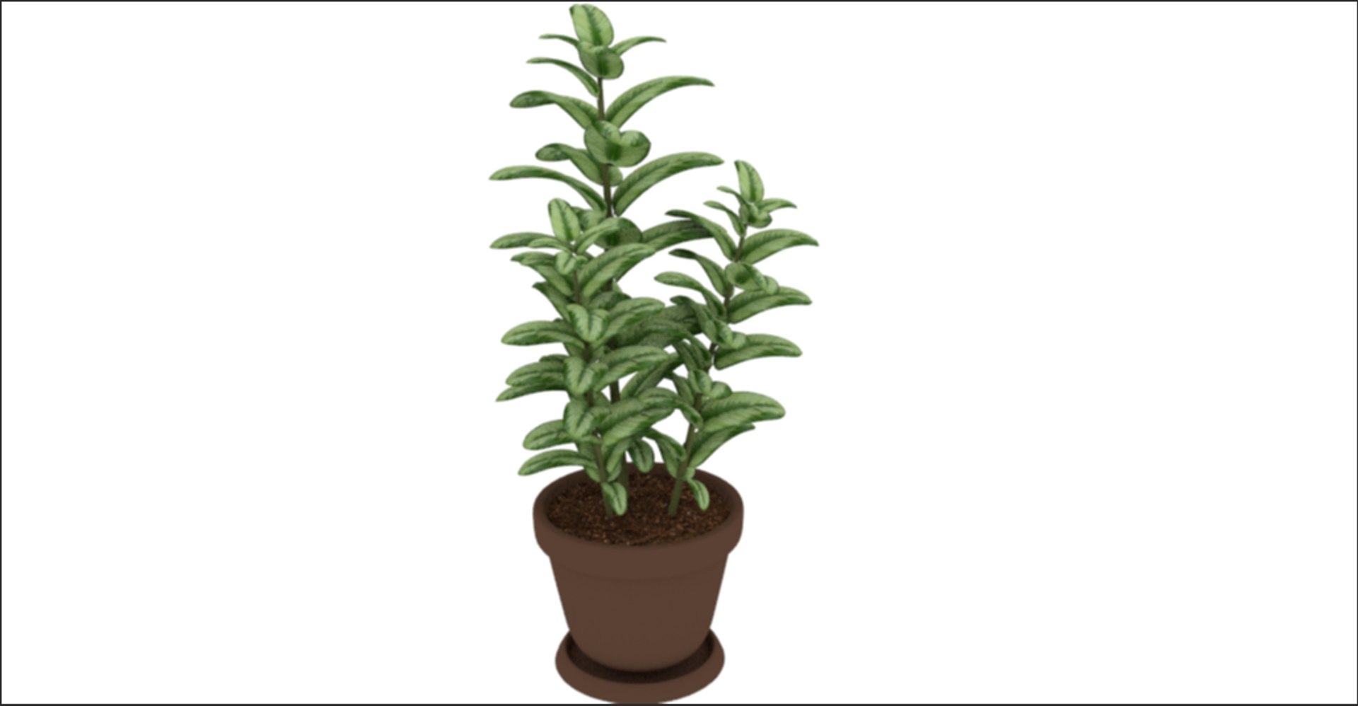 3D Plant Model - TurboSquid 1215440