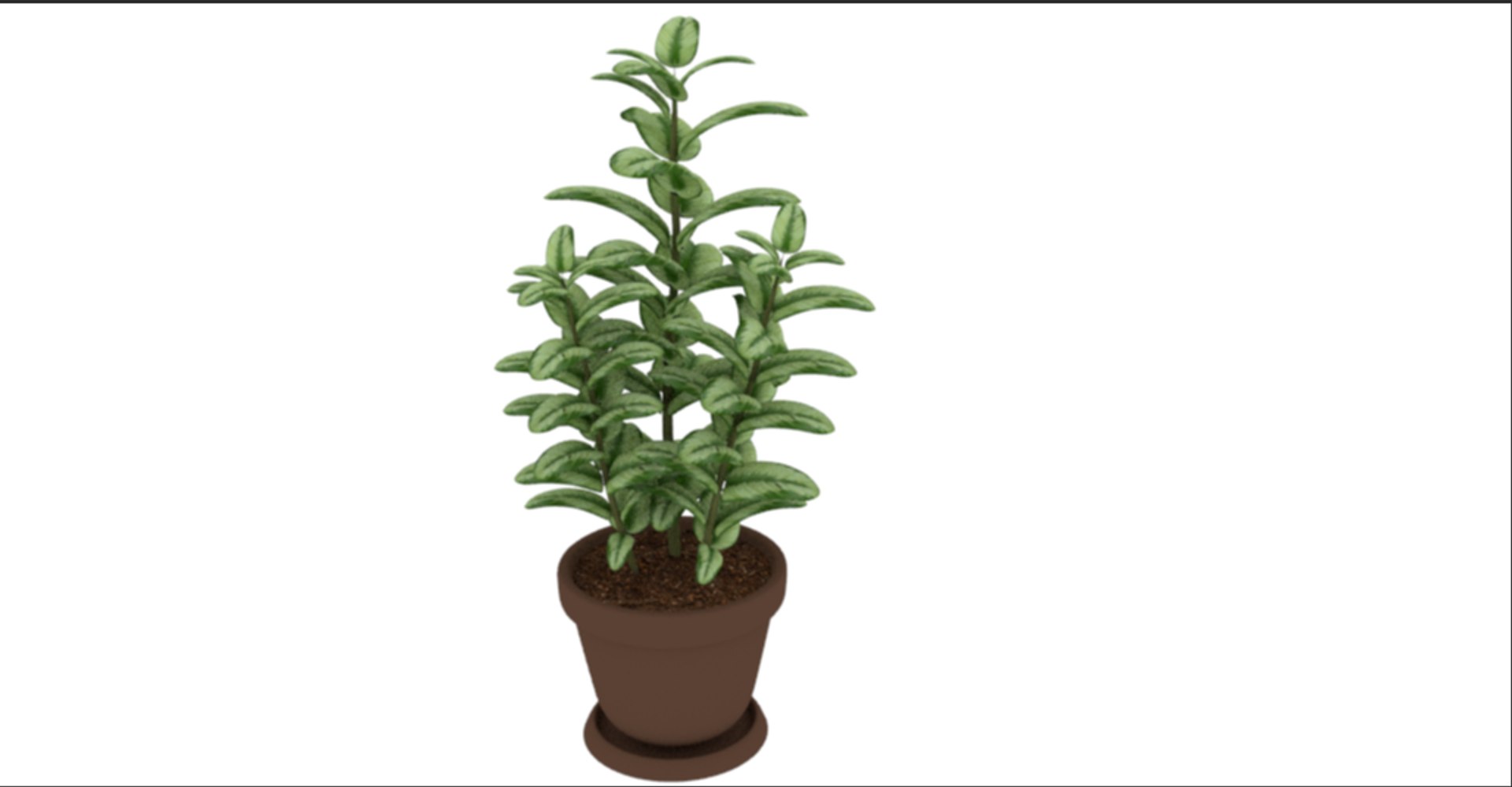 3D Plant Model - TurboSquid 1215440