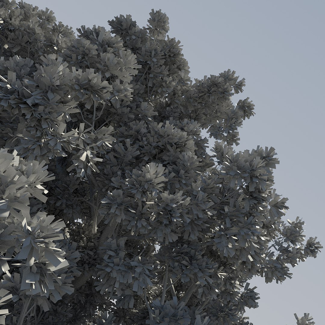 3D Model Hi Resolution Tree - TurboSquid 1426326