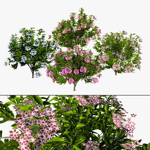 Bush STL Models for Download | TurboSquid