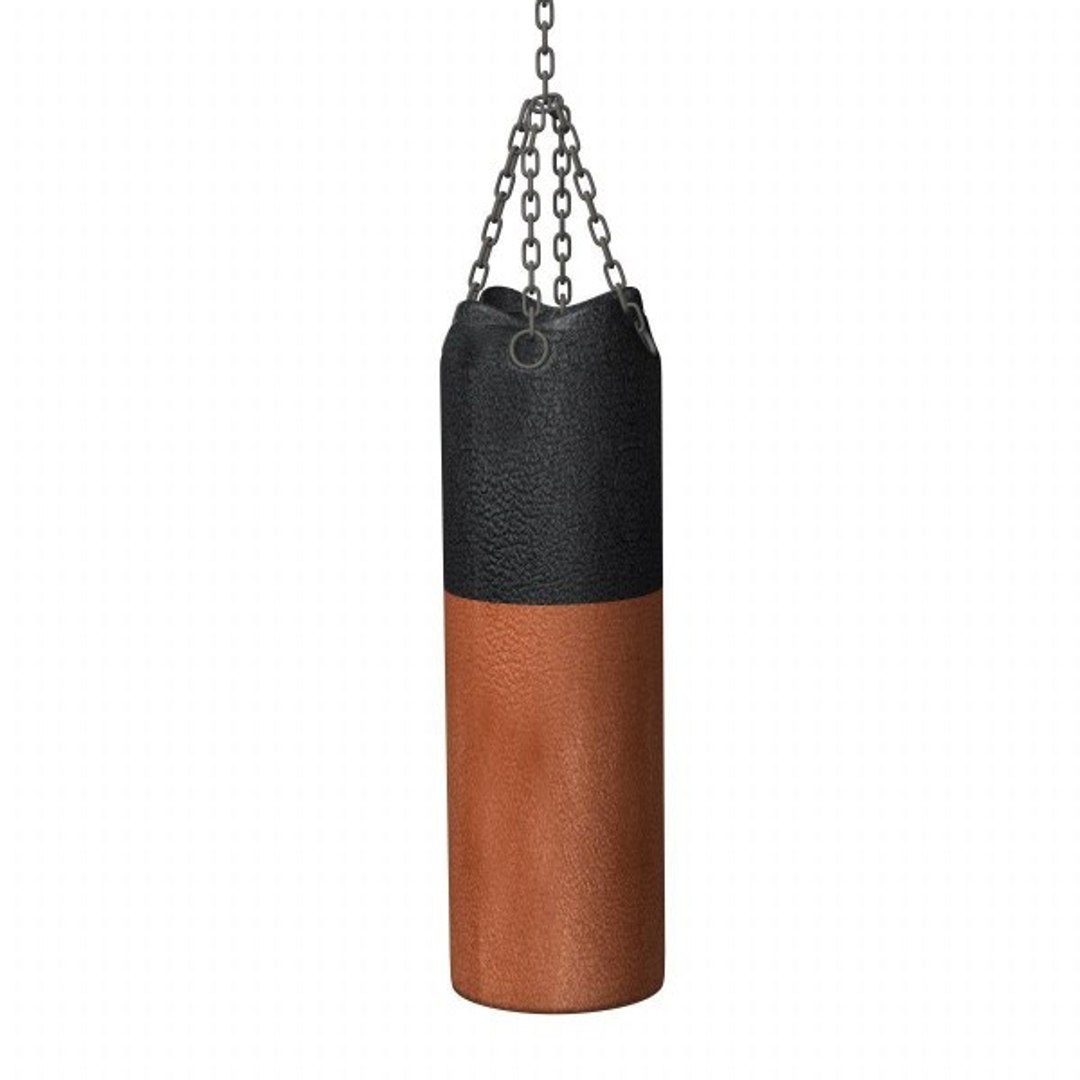 Maya Boxing Ring Bags