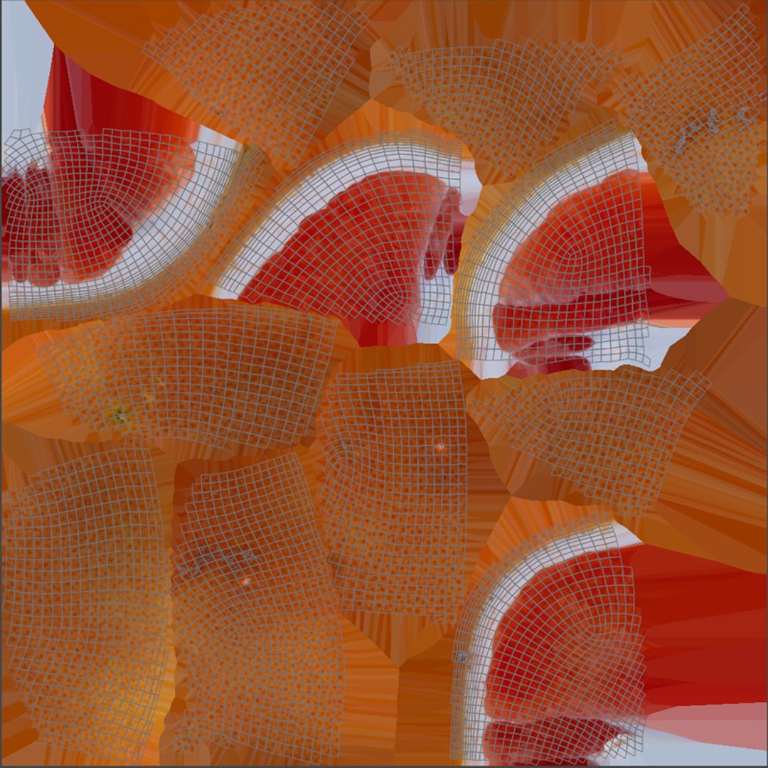 Grapefruit Collection 3D - TurboSquid 1811408