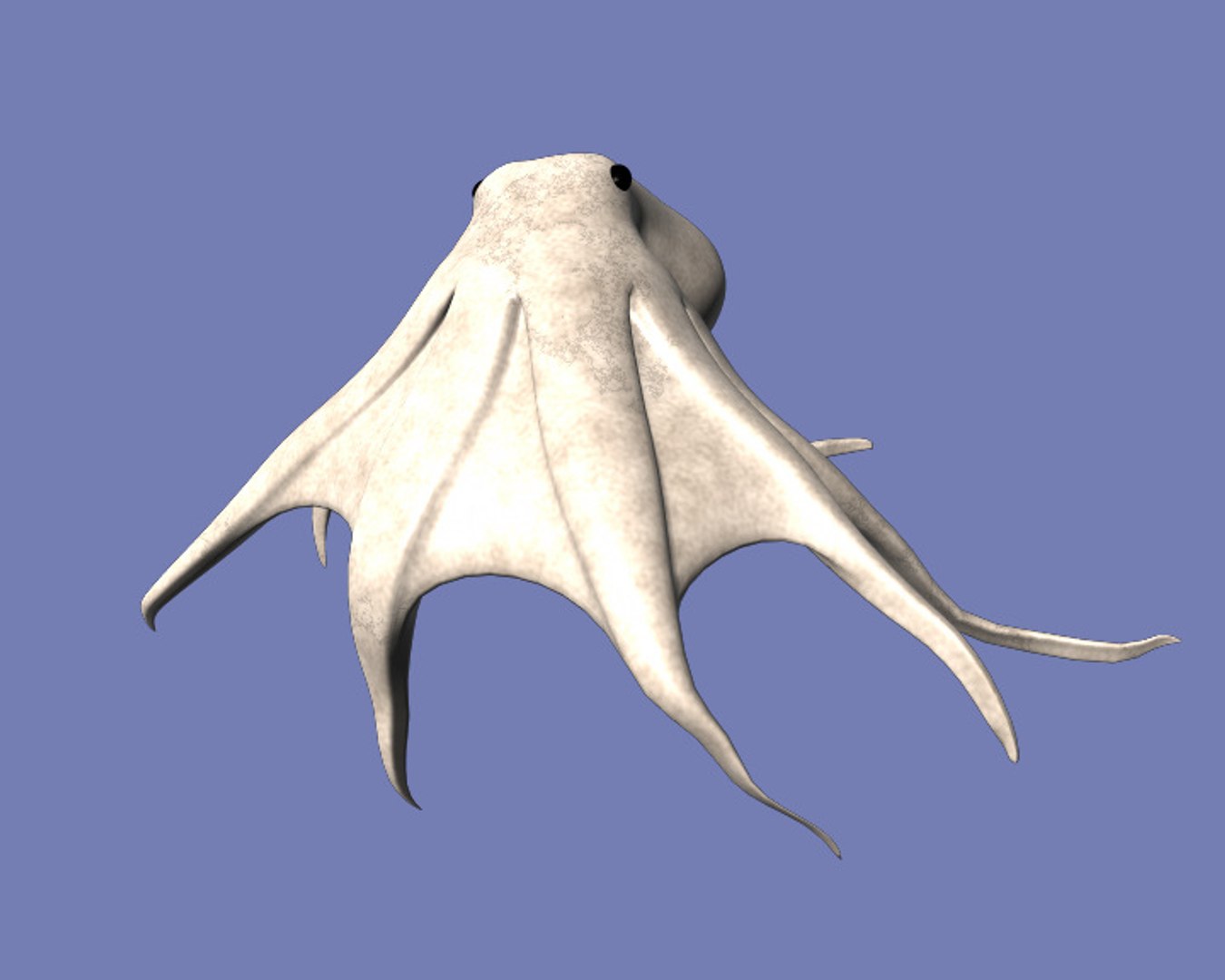 3d Octopus Model