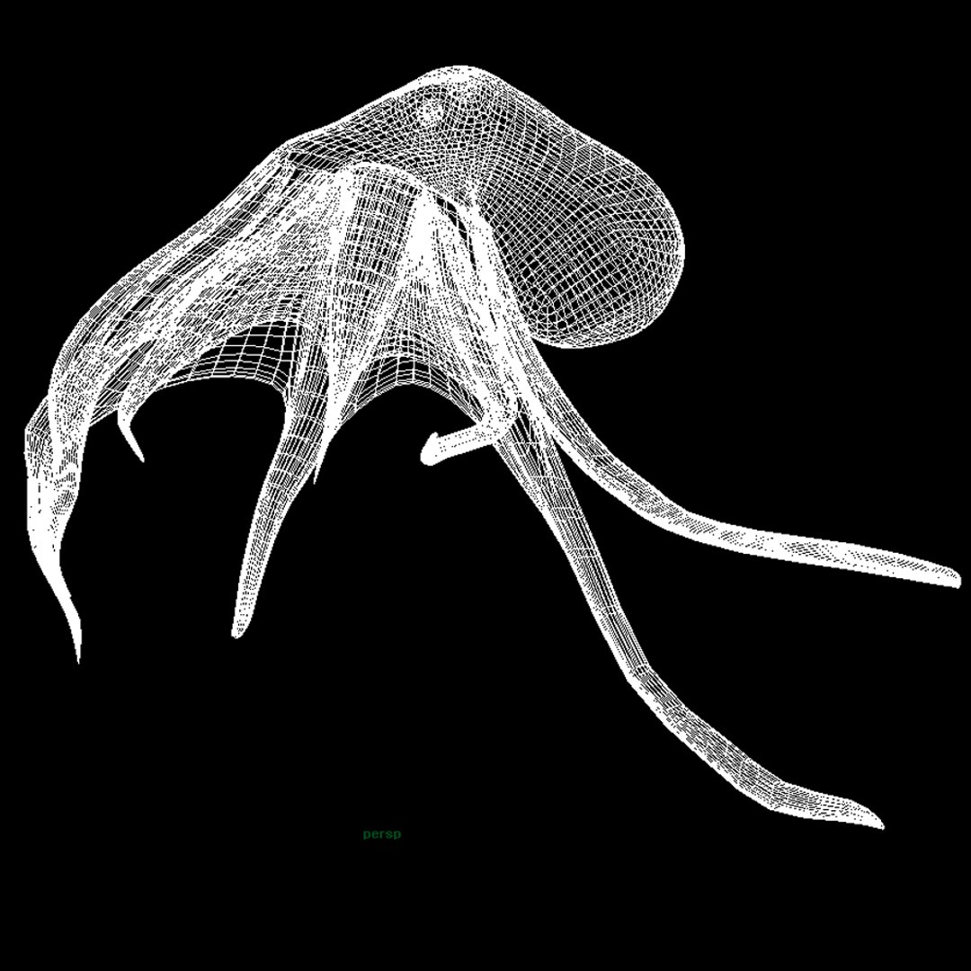 3d Octopus Model