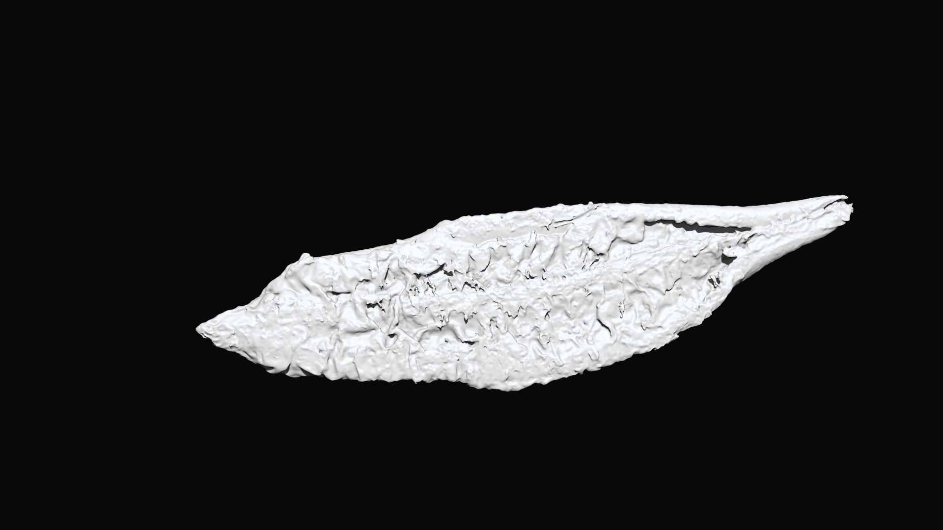Grilled Eel 3D CT Scan Model Decimate 80 Percent Model - TurboSquid 1965546