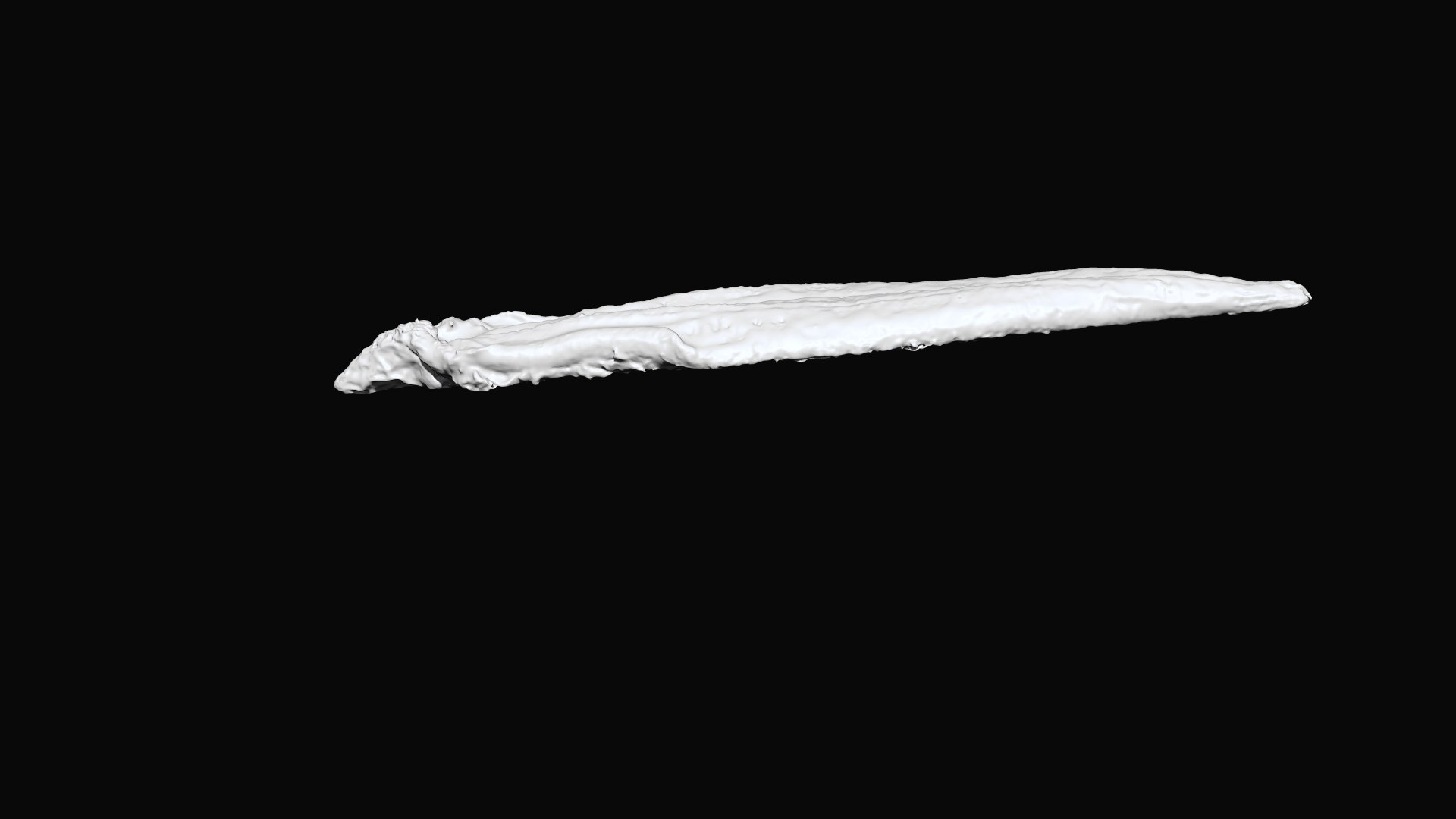 Grilled Eel 3D CT Scan Model Decimate 80 Percent Model - TurboSquid 1965546