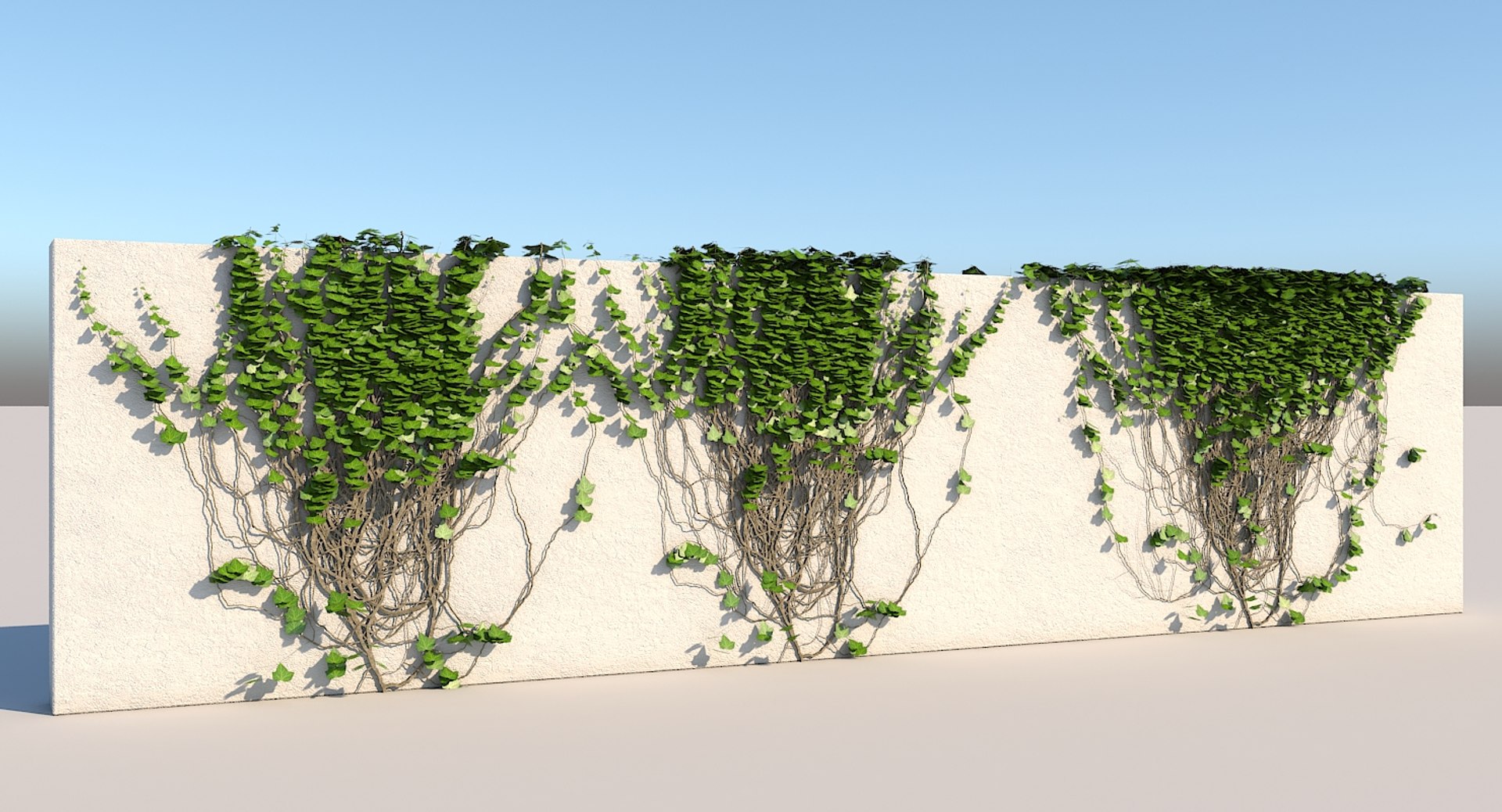 Wall Ivys 3D Model - TurboSquid 1407029