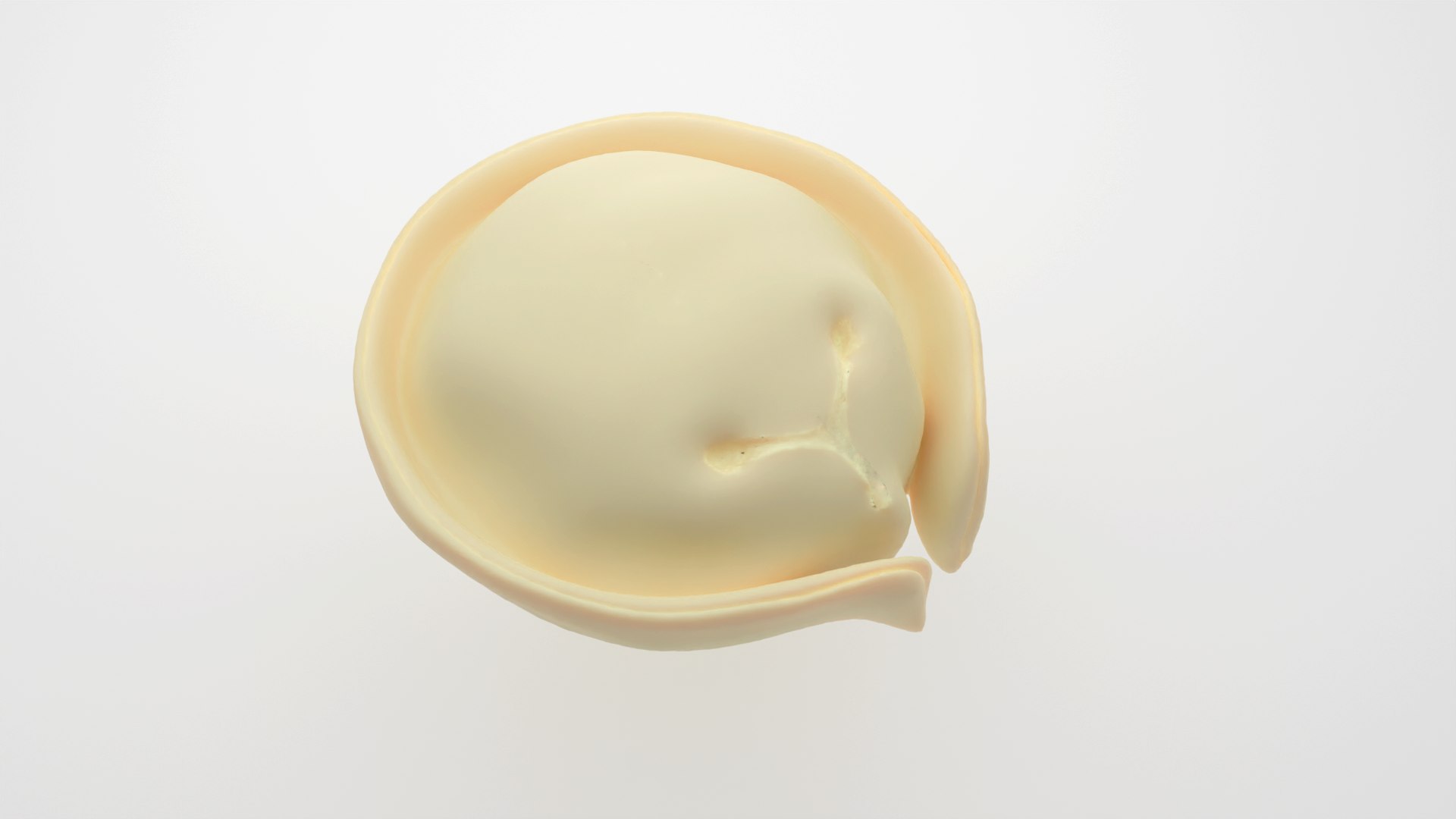 3D Model Dumplings - TurboSquid 1716693