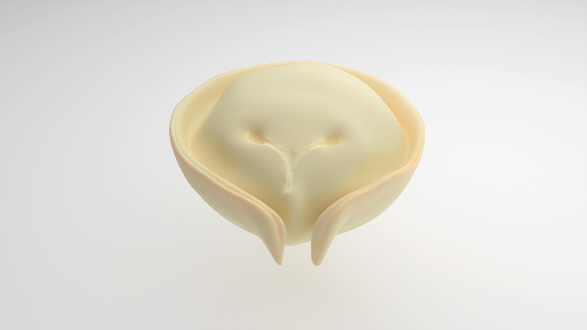3D Model Dumplings - TurboSquid 1716693