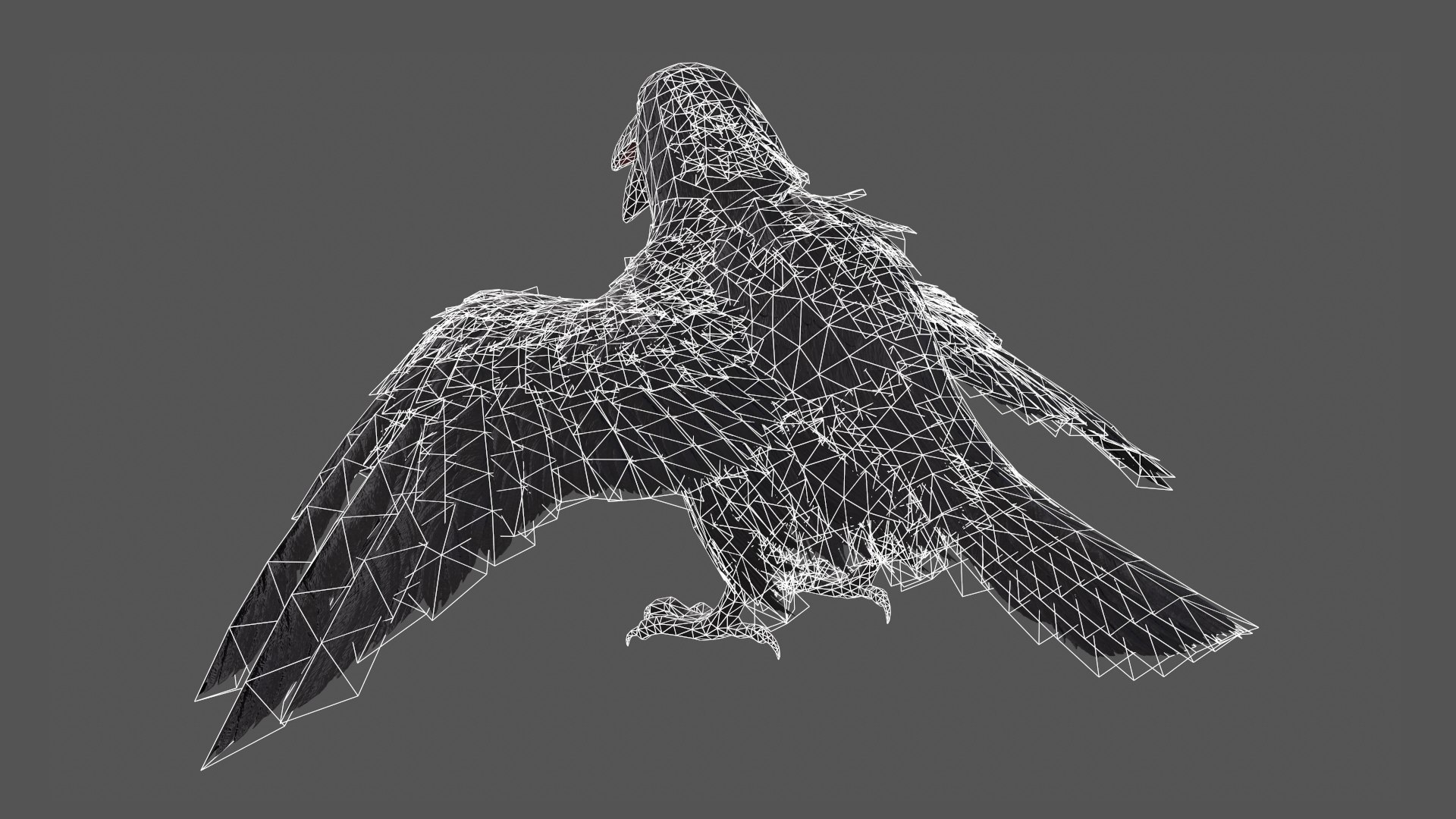 Raven Model - TurboSquid 1960383