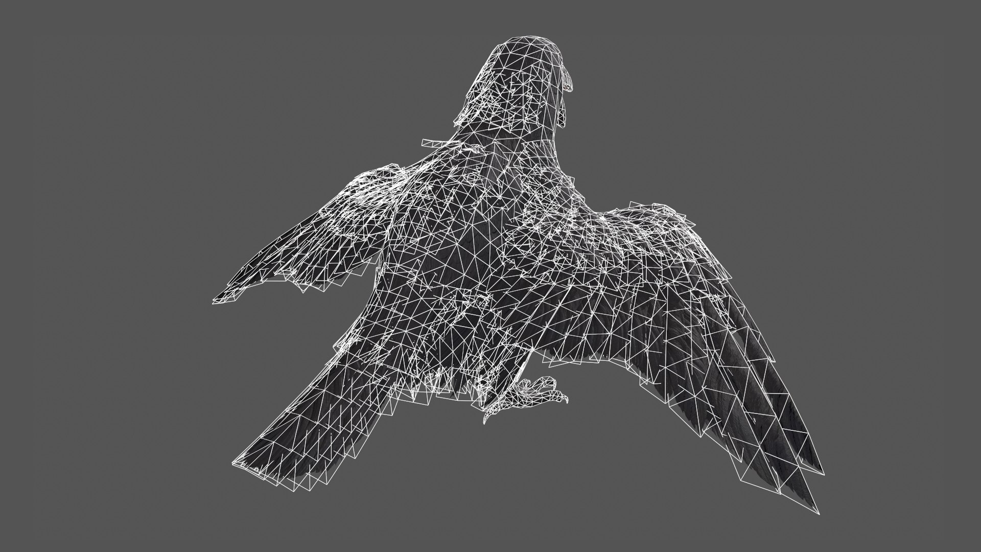 Raven Model - TurboSquid 1960383