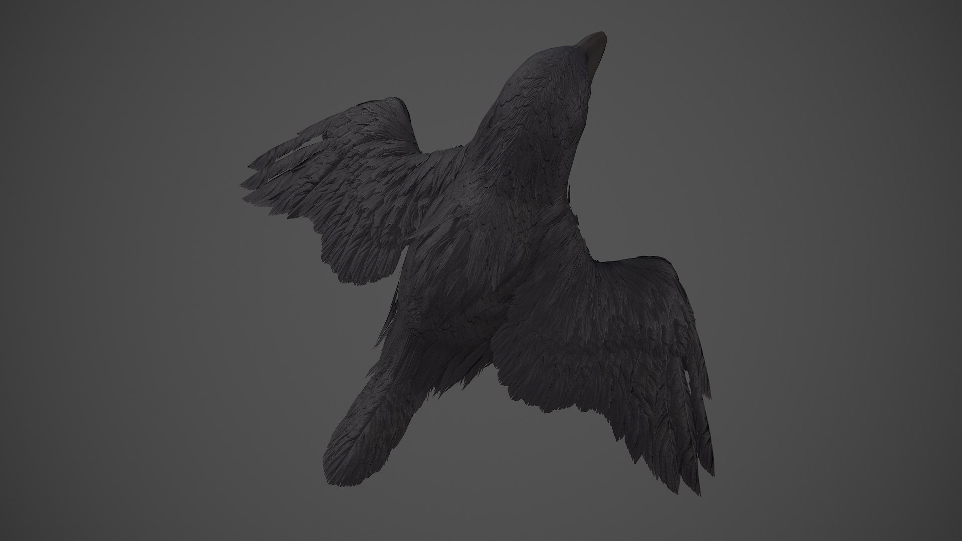 Raven Model - TurboSquid 1960383