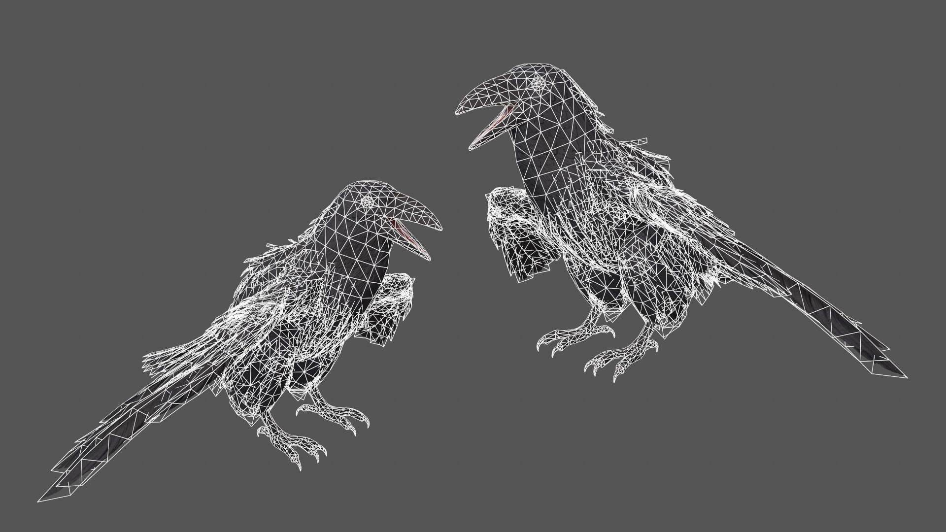 Raven Model - TurboSquid 1960383