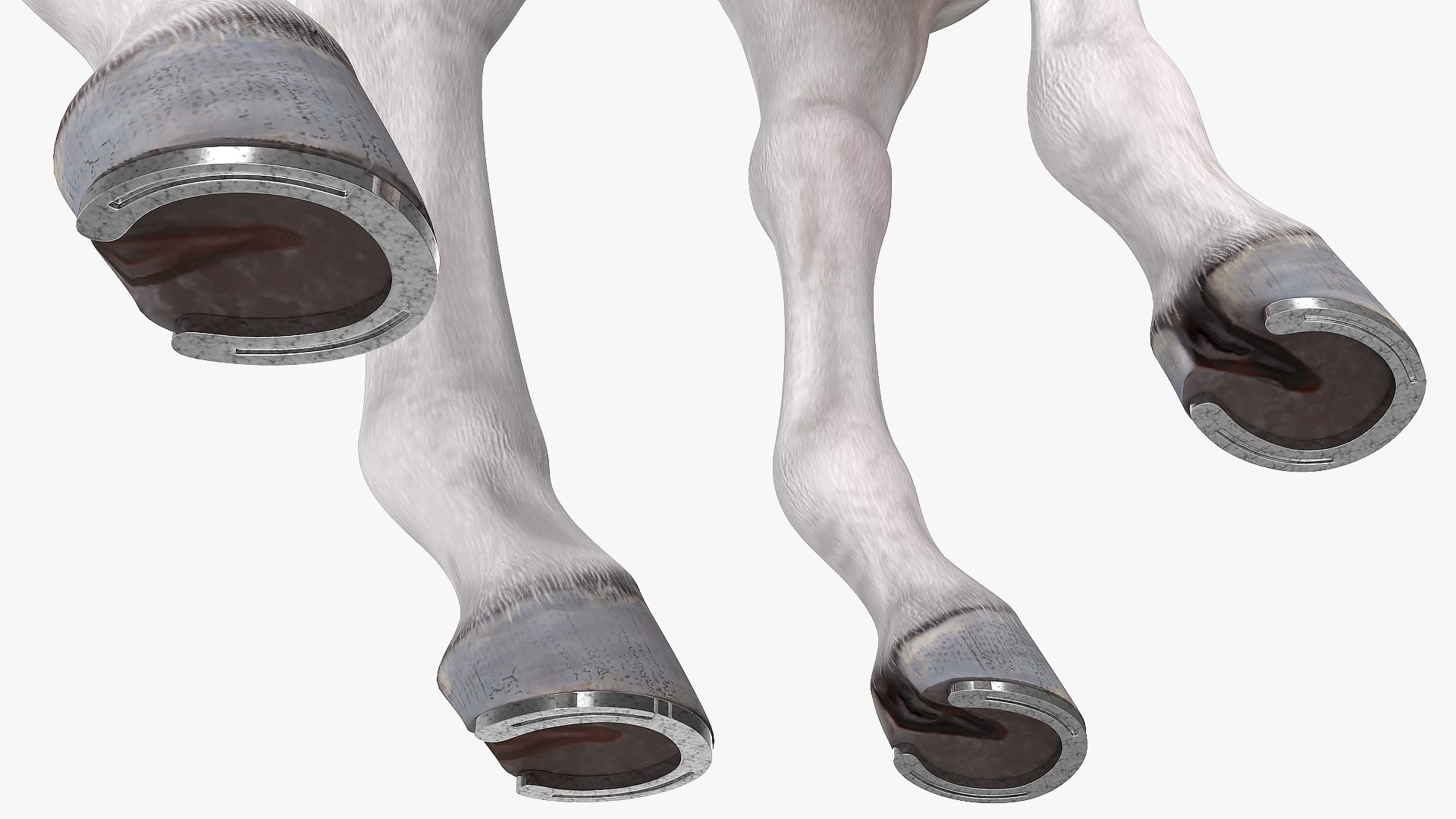 3D Racehorse White Animal Horse Model - TurboSquid 1453209