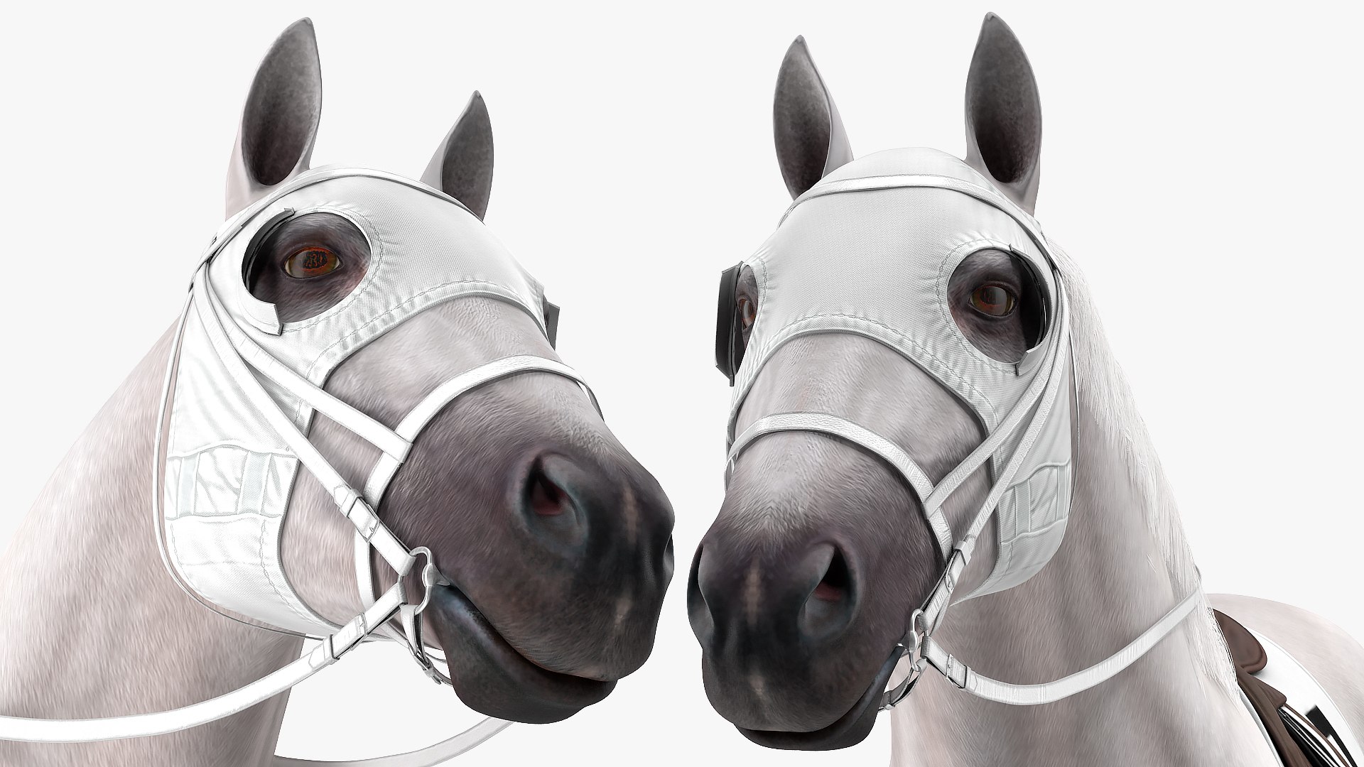 3D Racehorse White Animal Horse Model - TurboSquid 1453209
