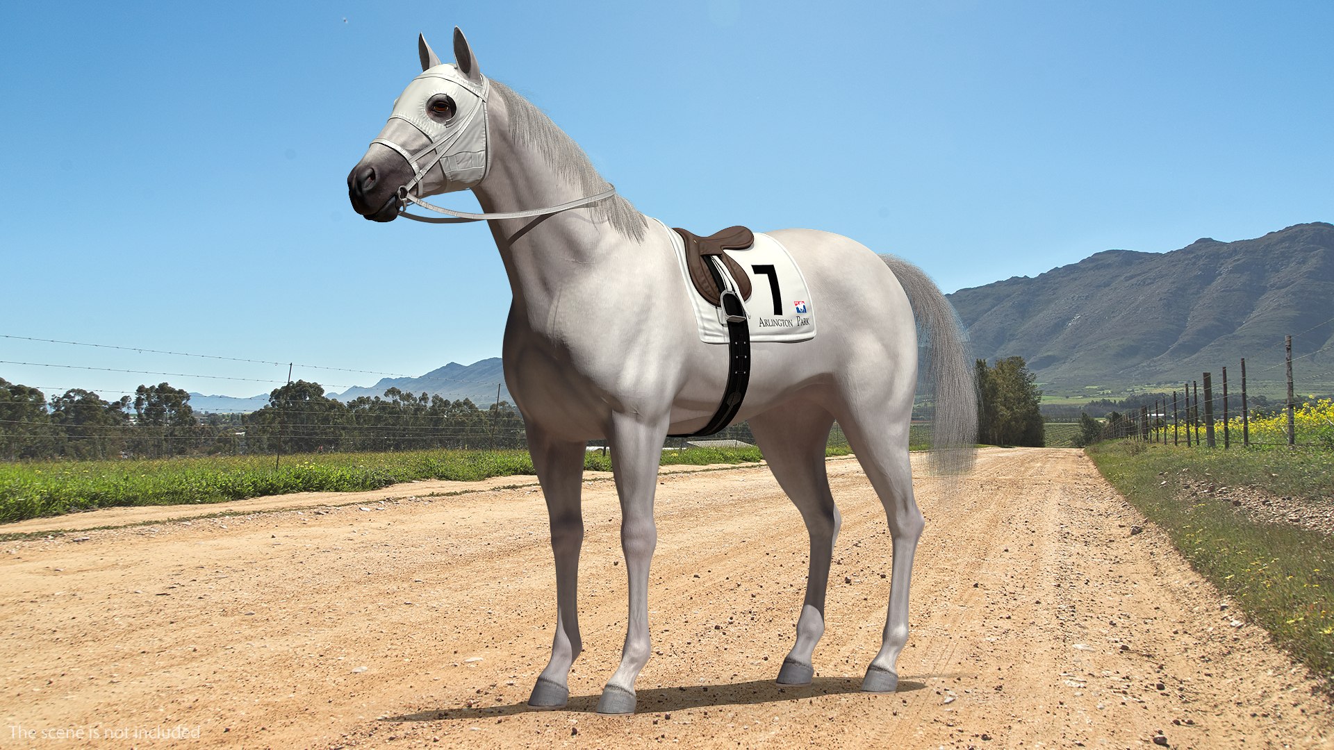 3D Racehorse White Animal Horse Model - TurboSquid 1453209