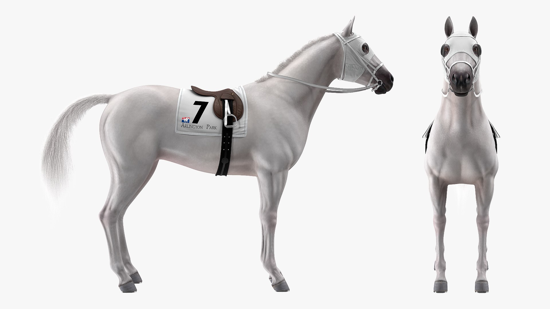 3D Racehorse White Animal Horse Model - TurboSquid 1453209