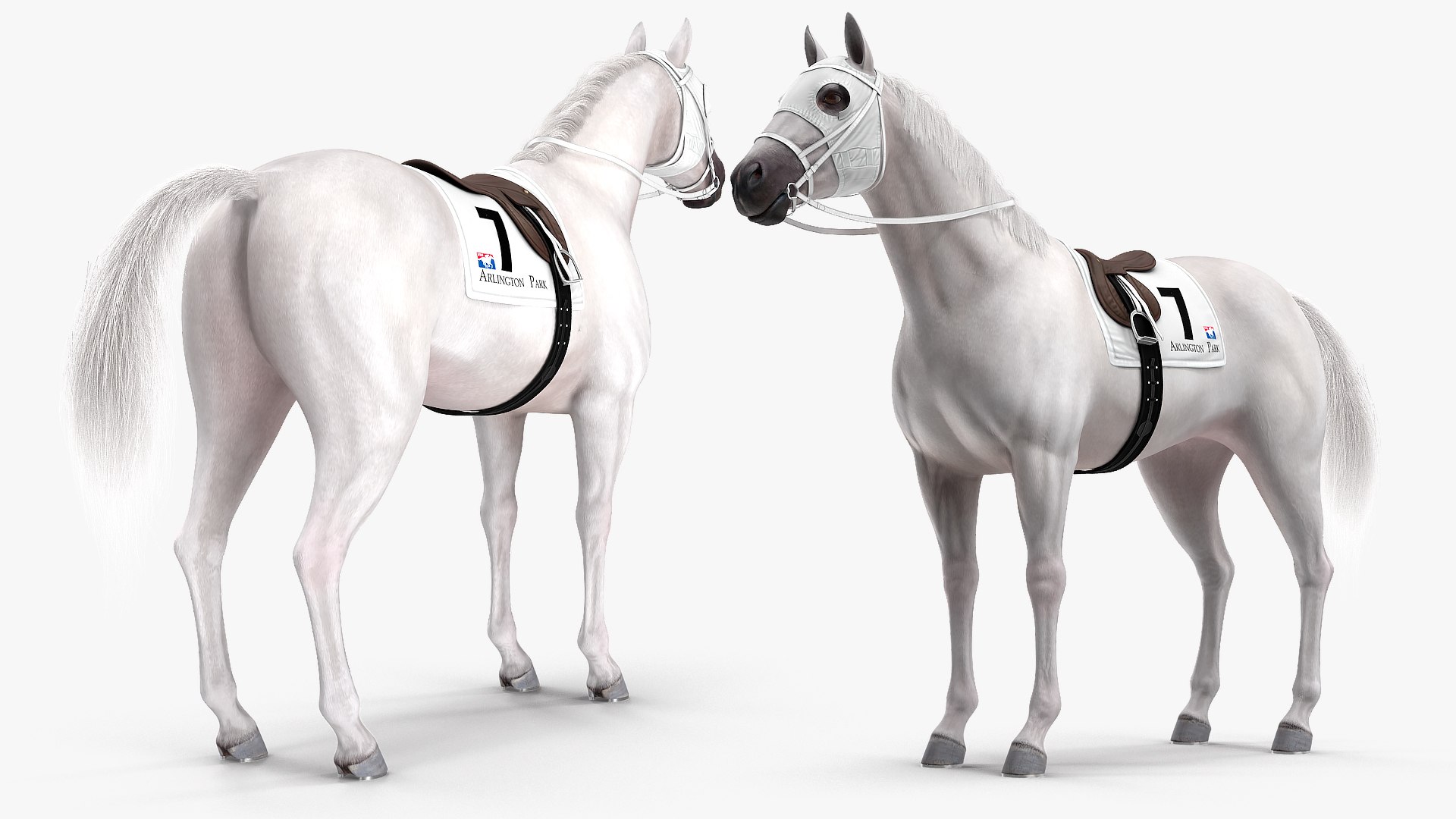 3D Racehorse White Animal Horse Model - TurboSquid 1453209
