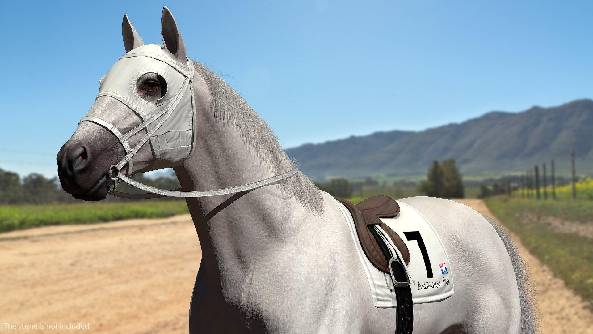 3D Racehorse White Animal Horse Model - TurboSquid 1453209