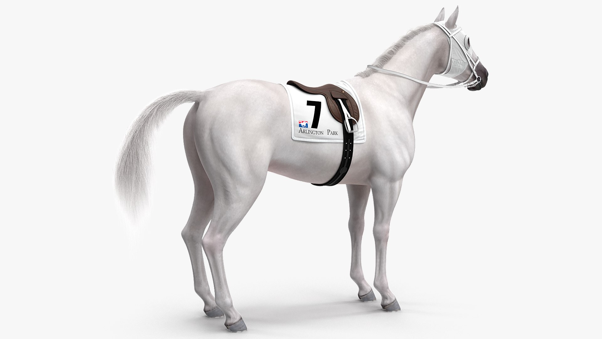 3D Racehorse White Animal Horse Model - TurboSquid 1453209