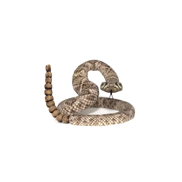 snake rattlesnake 3d model