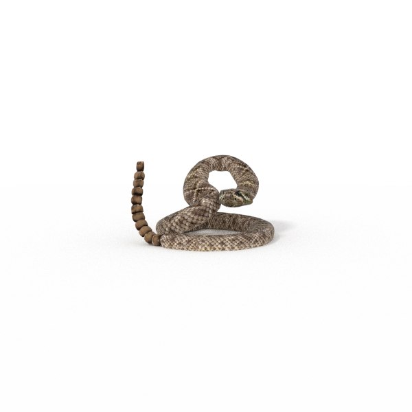 snake rattlesnake 3d model