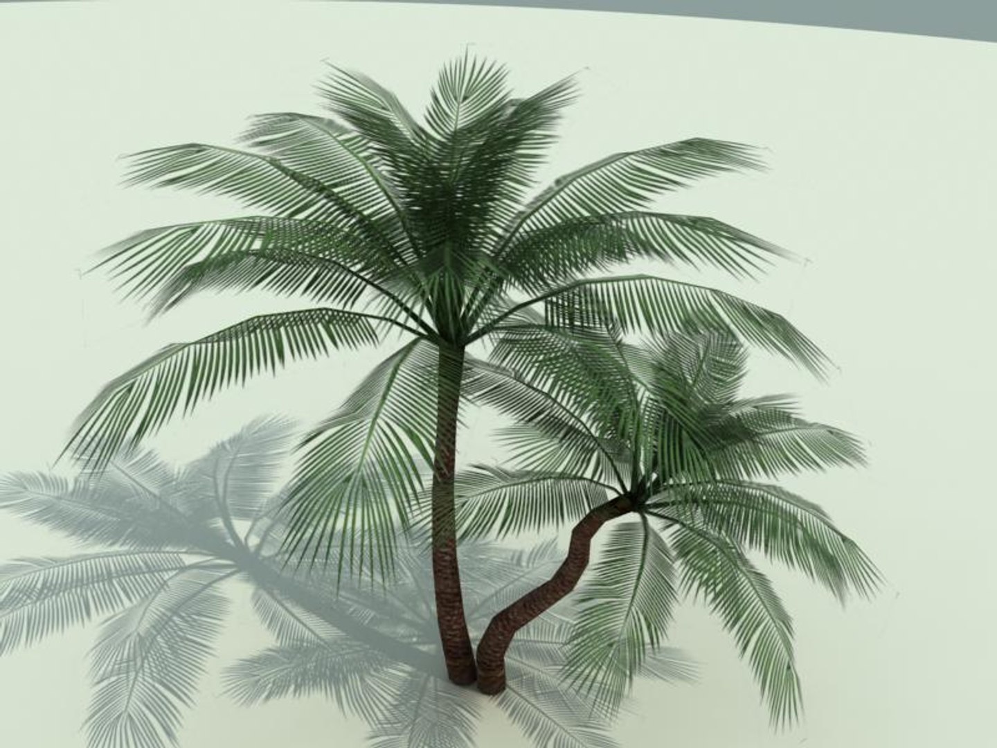 palm trees 3d model