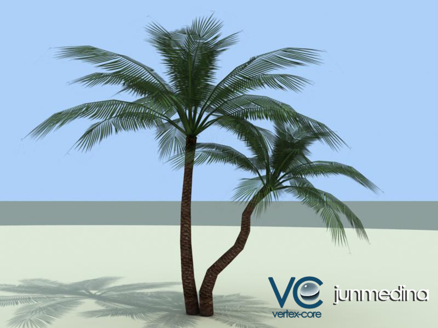 palm trees 3d model