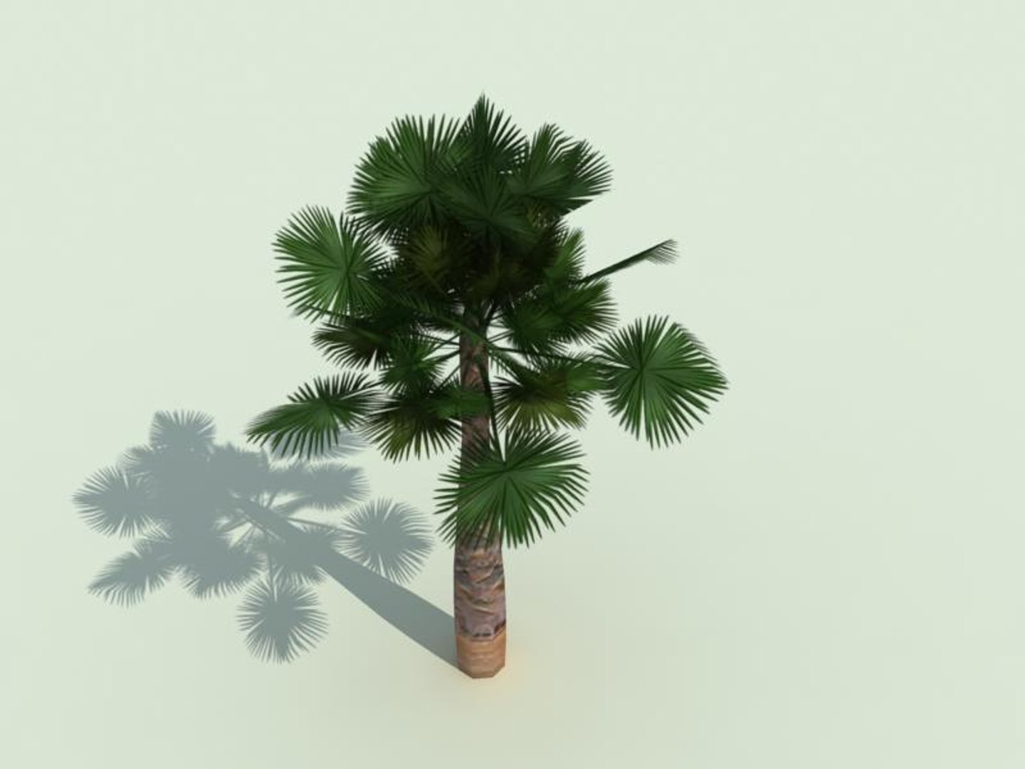 palm trees 3d model