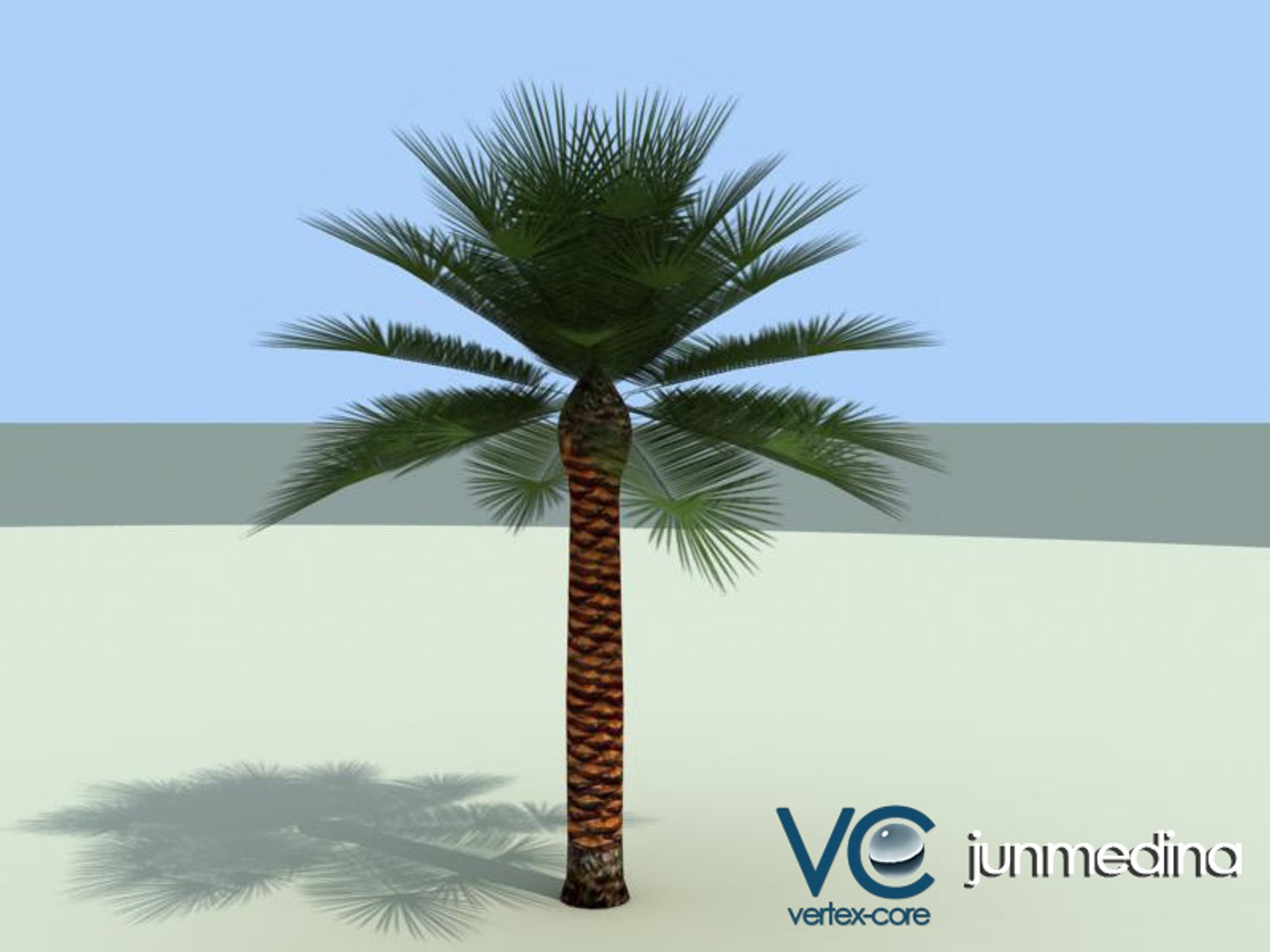 palm trees 3d model