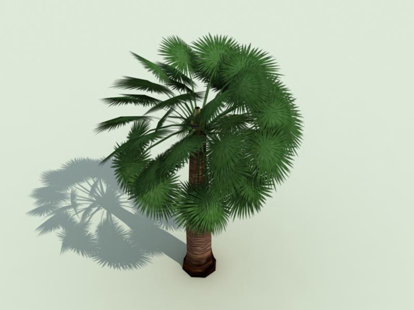 palm trees 3d model