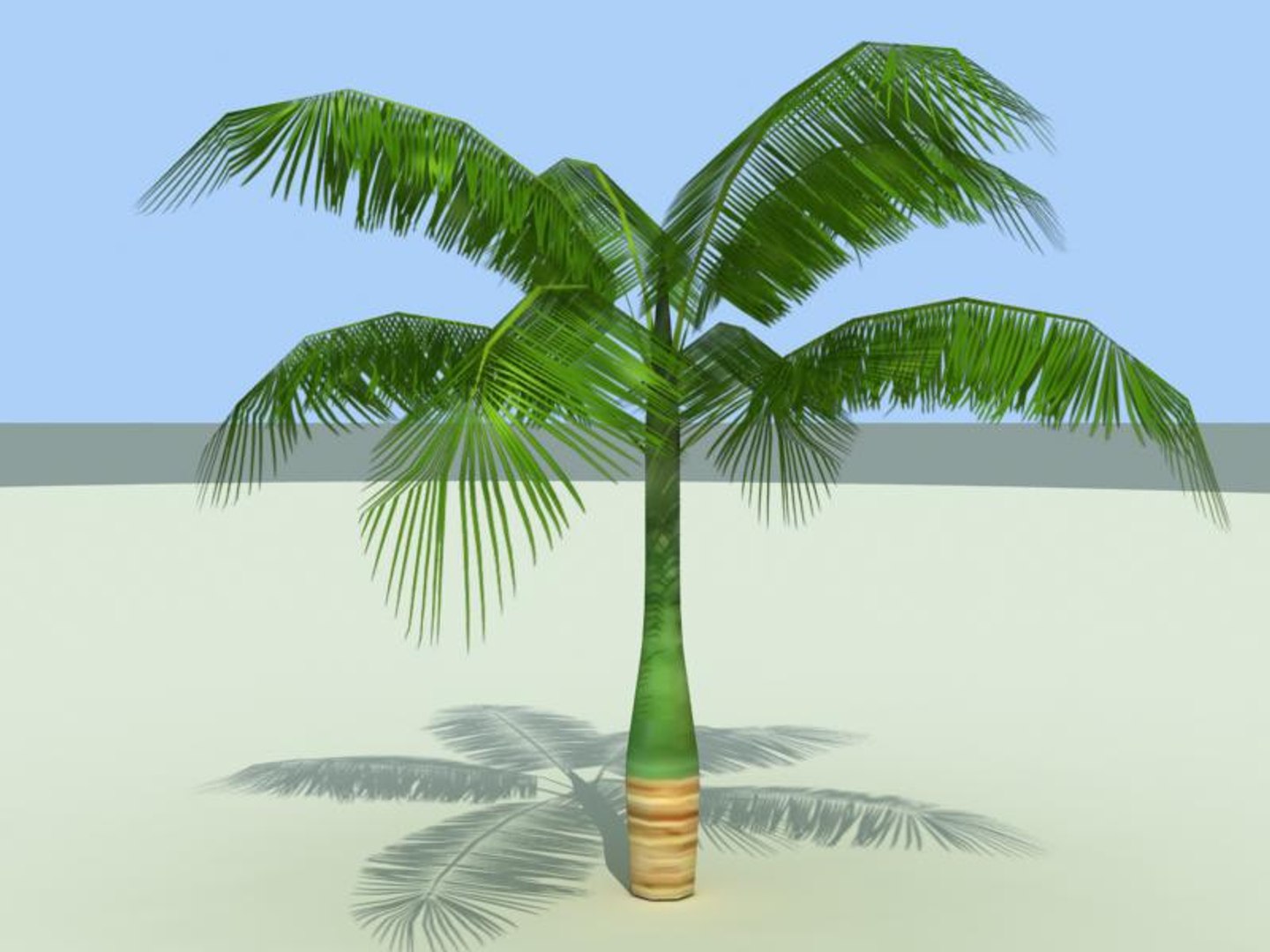 palm trees 3d model