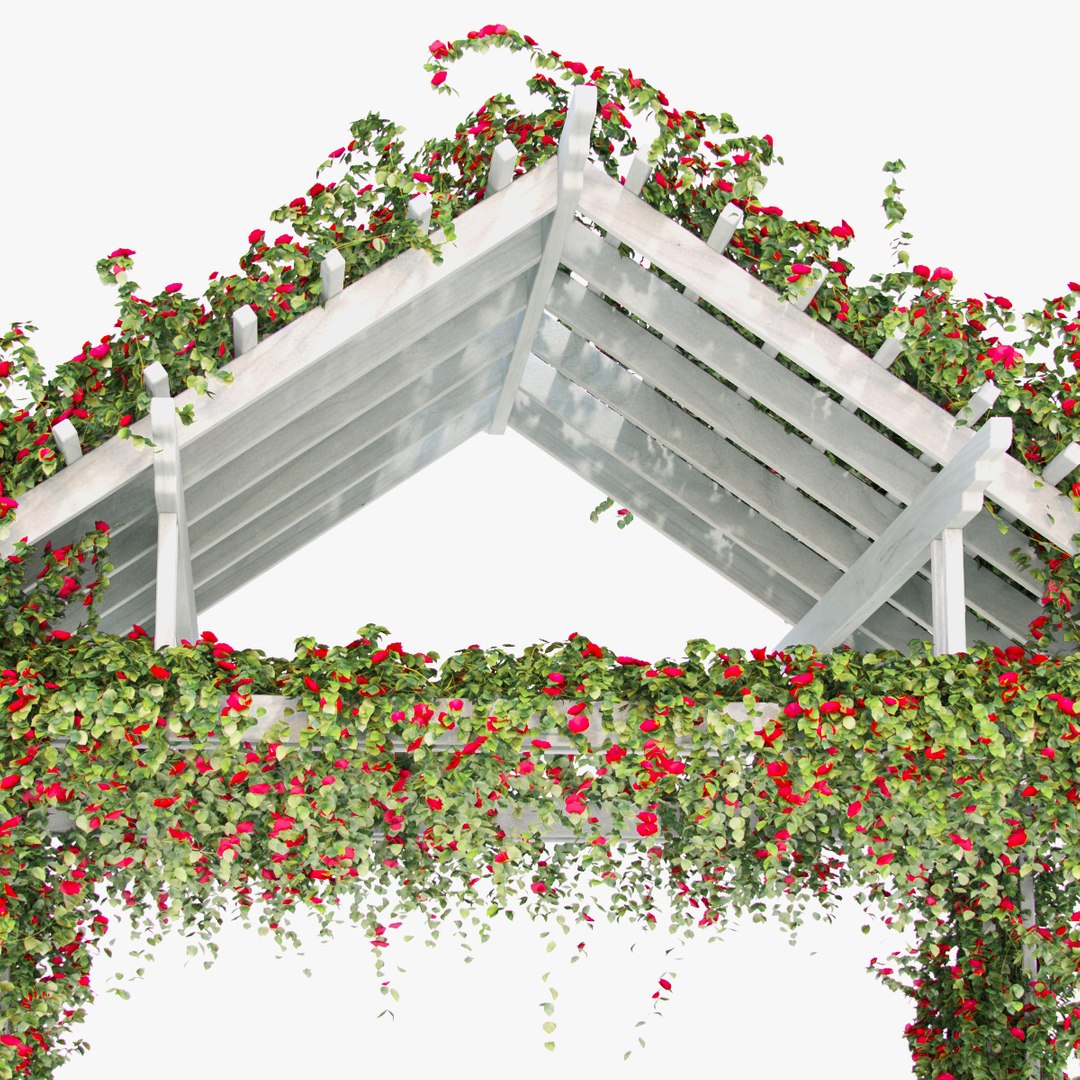 3d Model Pergola Climbing Roses Flowers