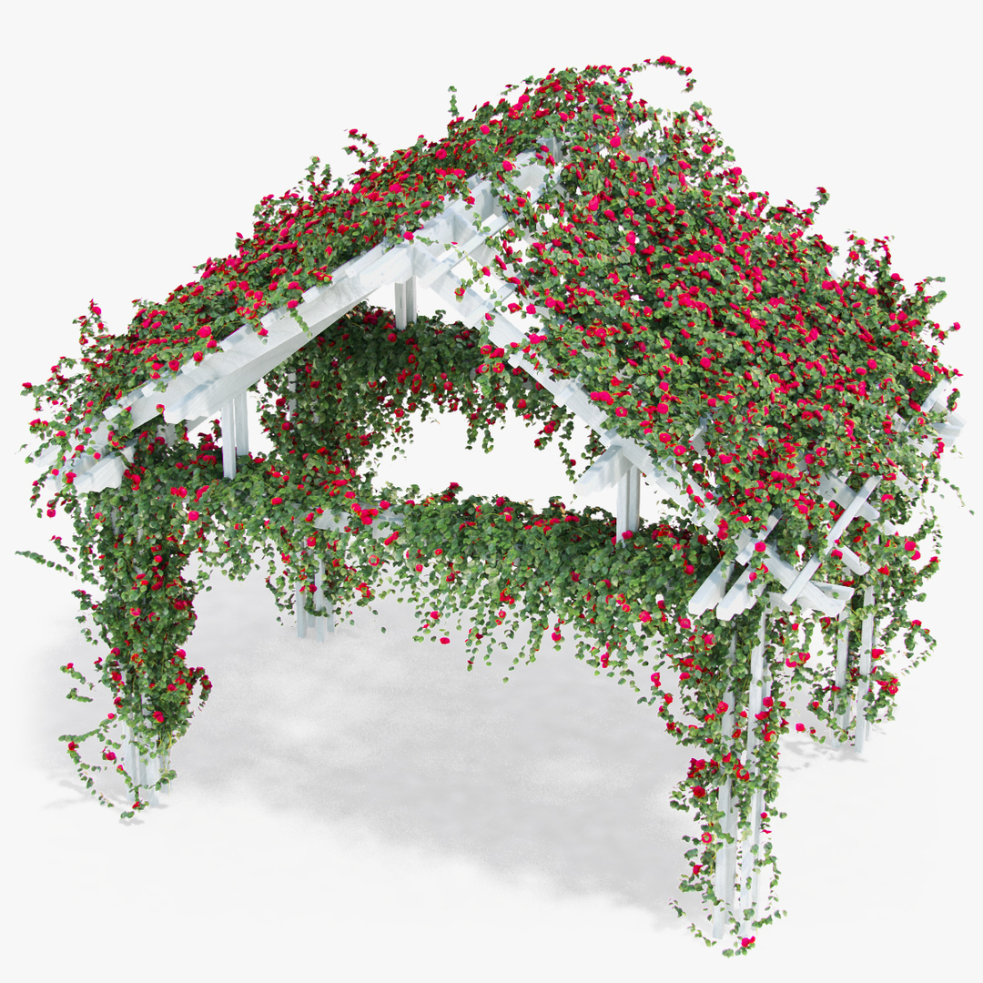 3d model pergola climbing roses flowers
