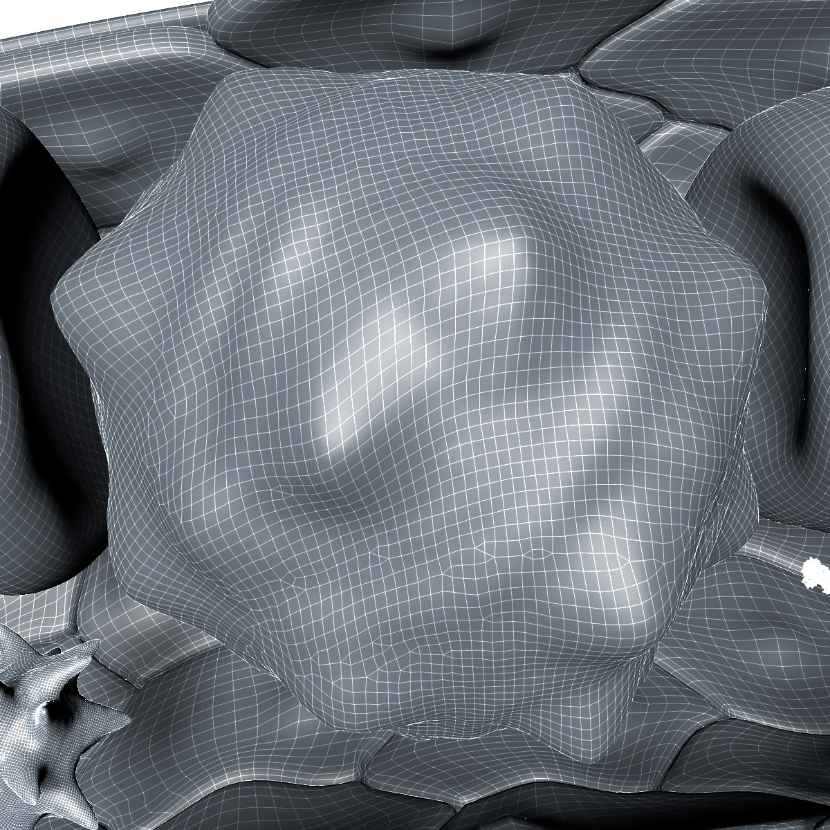 blood vessel cells 3d c4d