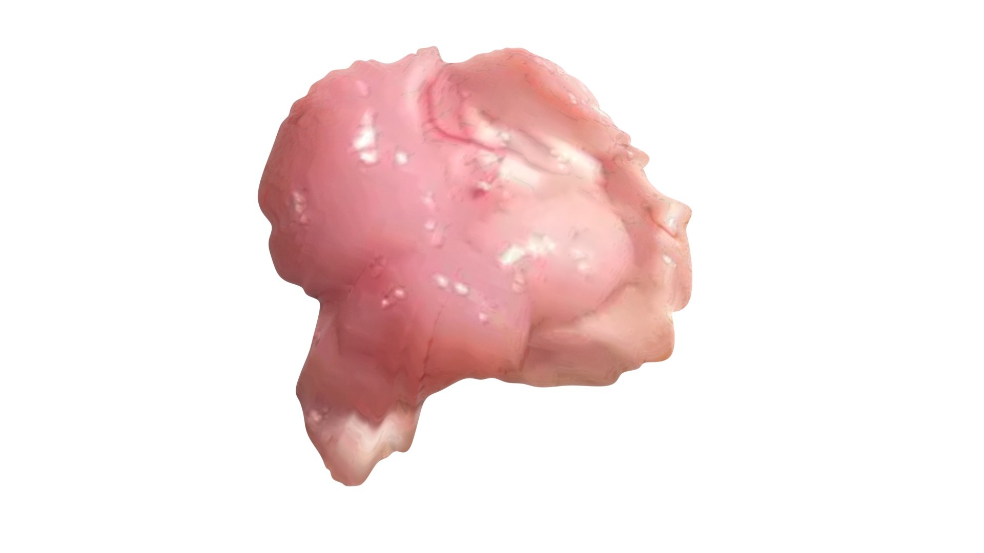 3D Chicken Brain Model - TurboSquid 2249524