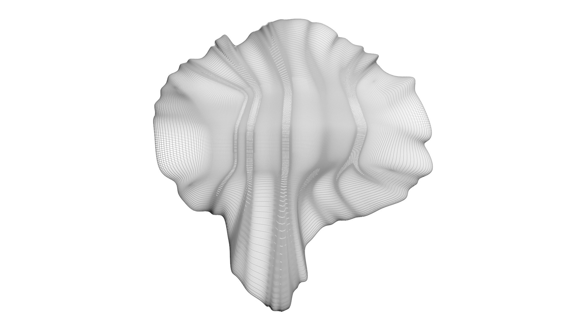 3D Chicken Brain Model - TurboSquid 2249524