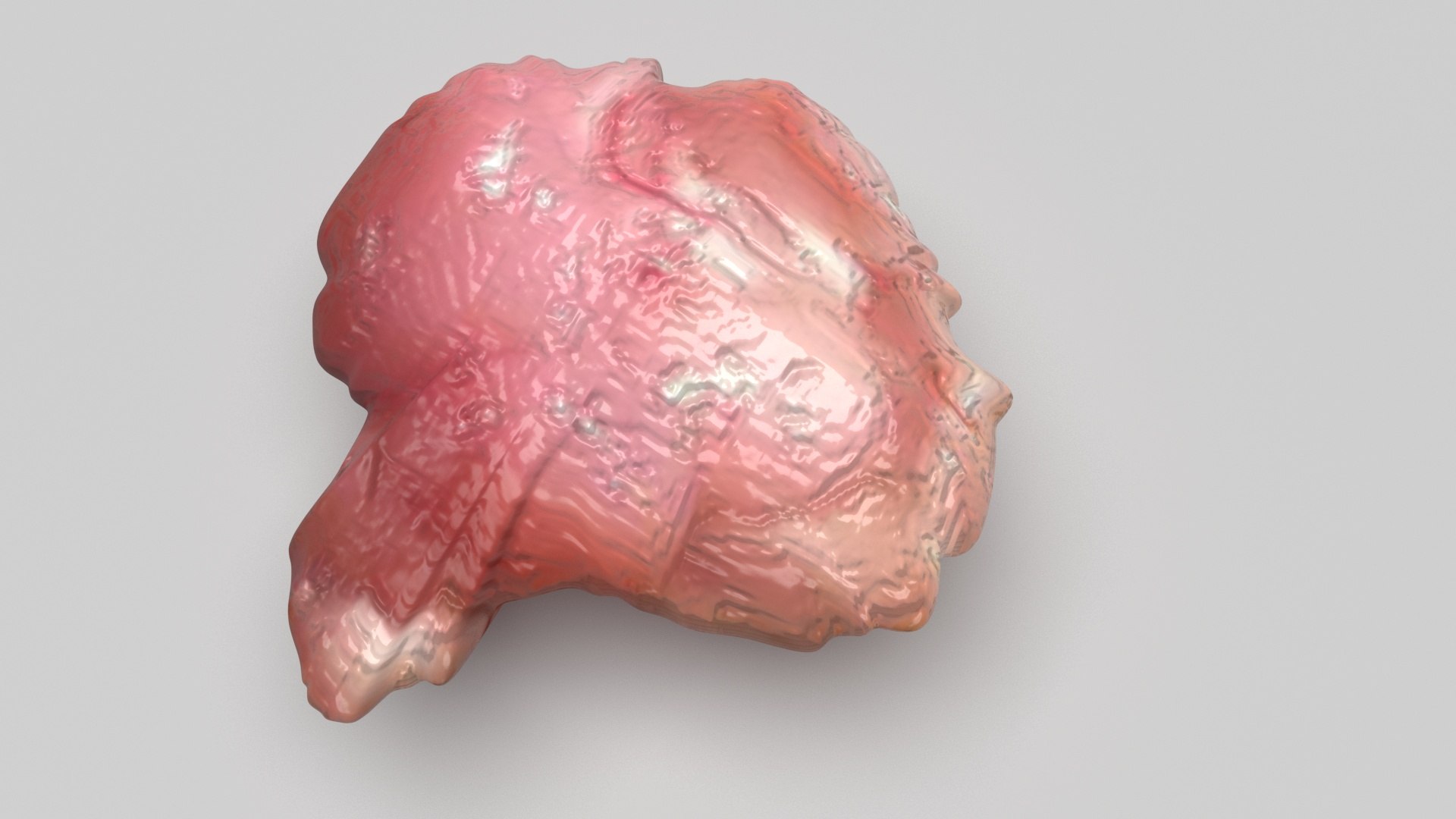 3D Chicken Brain Model - TurboSquid 2249524