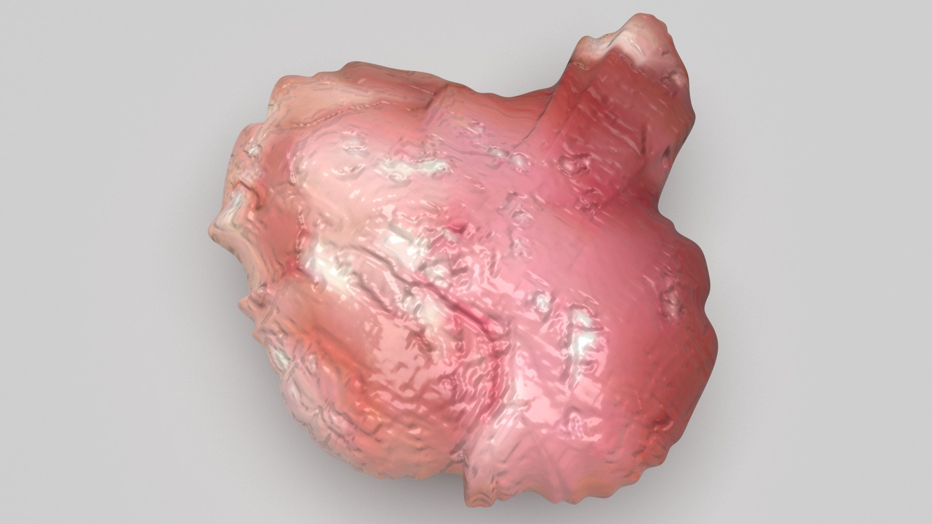 3D Chicken Brain Model - TurboSquid 2249524