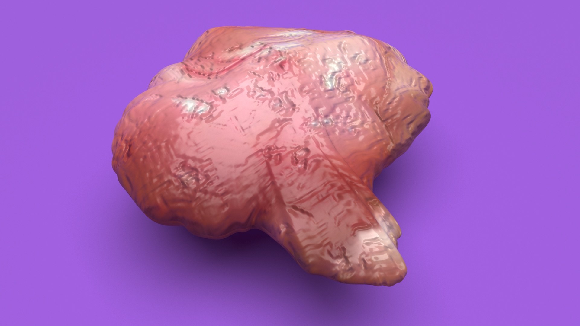 3D Chicken Brain Model - TurboSquid 2249524