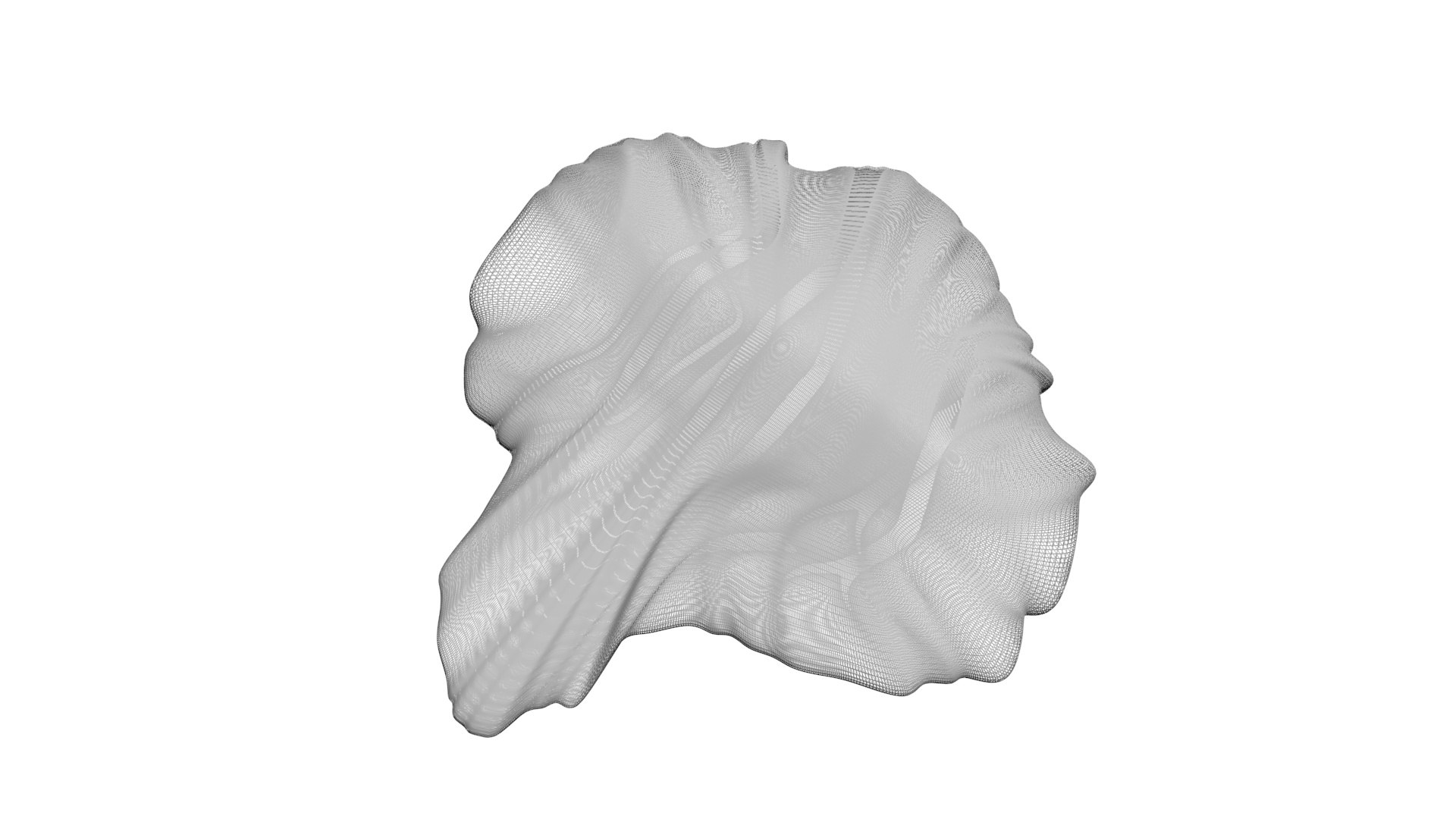 3D Chicken Brain Model - TurboSquid 2249524