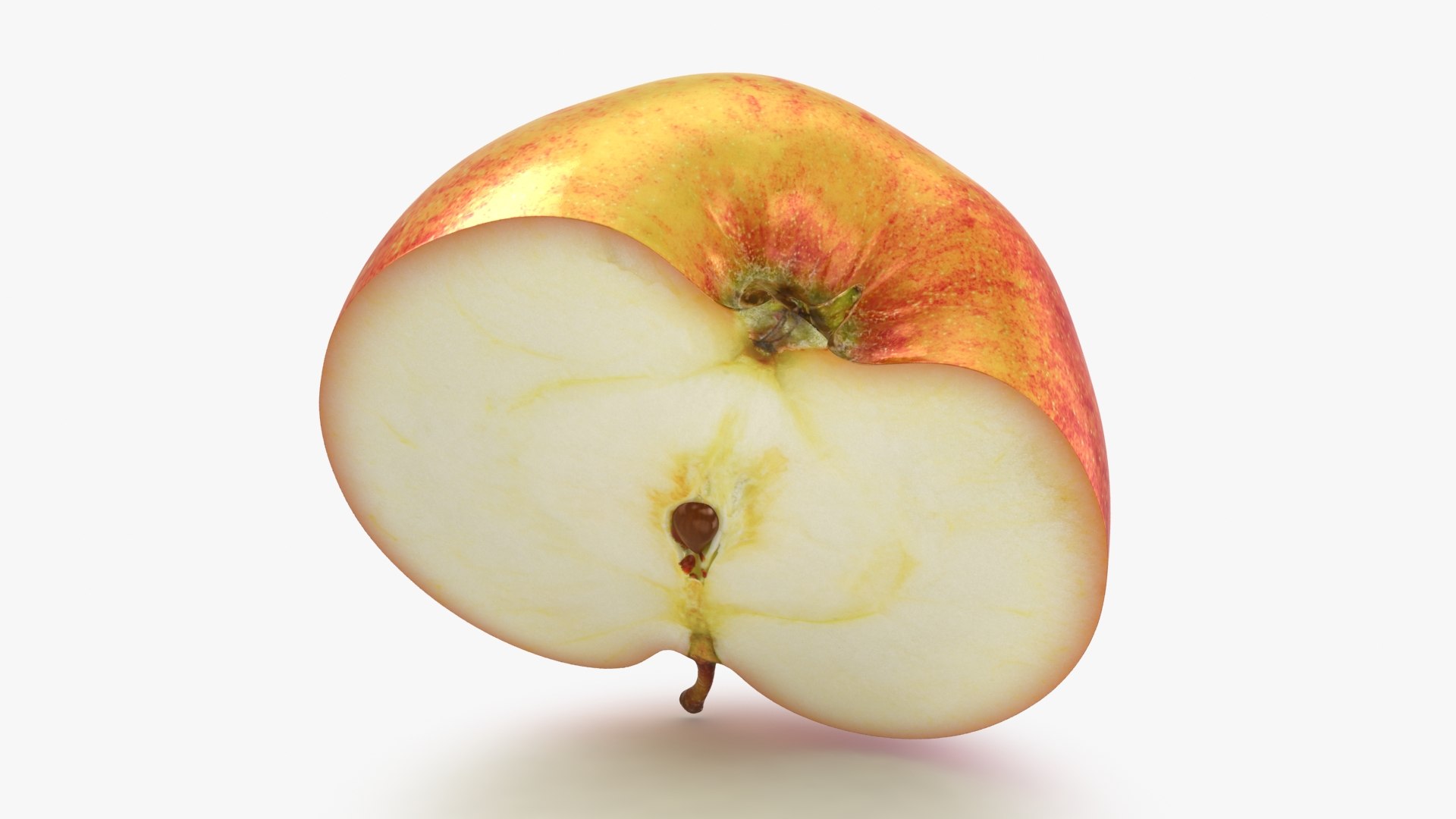 Half Red Apple 3D model - TurboSquid 1885680